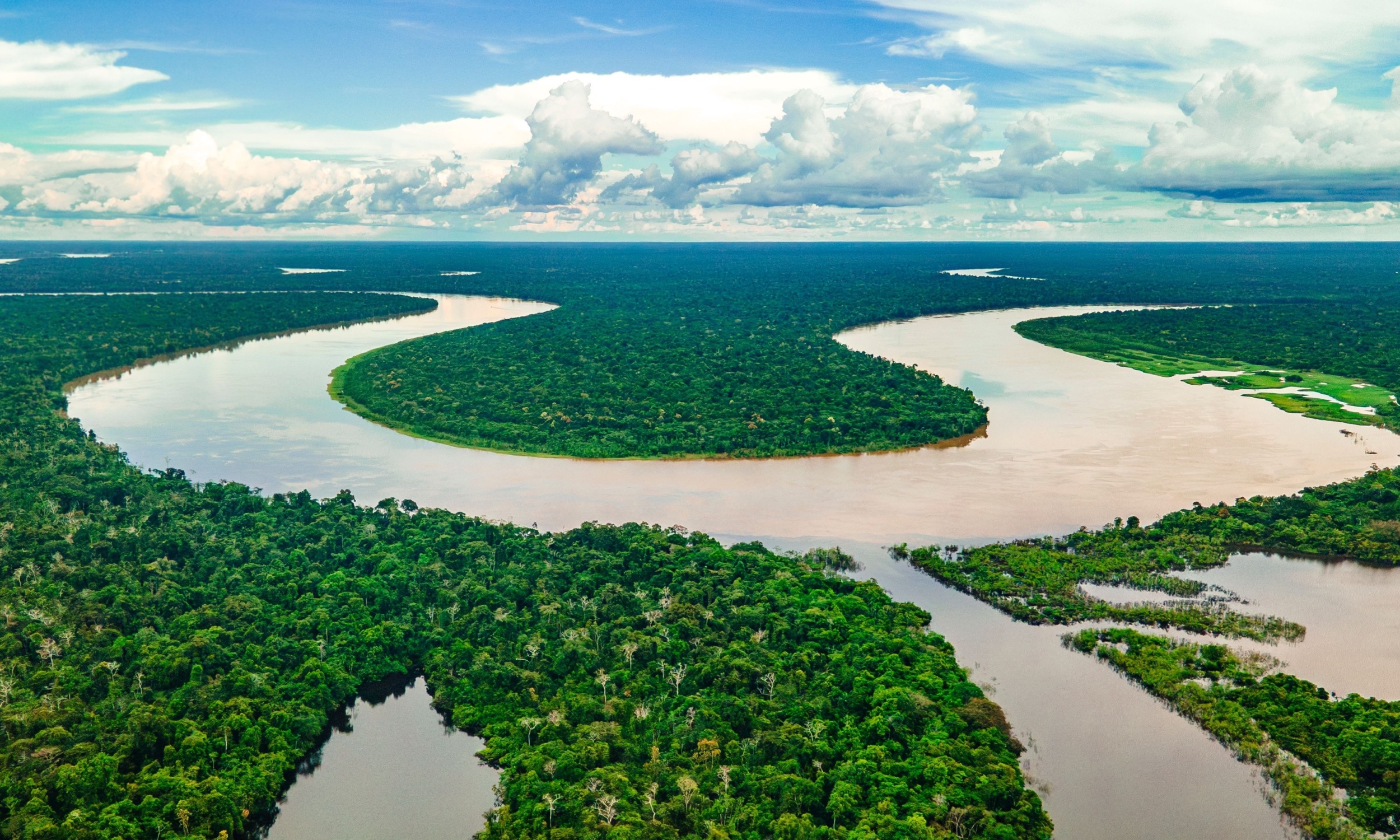 Amazon rainforest may be much more stable than we thought - Earth.com