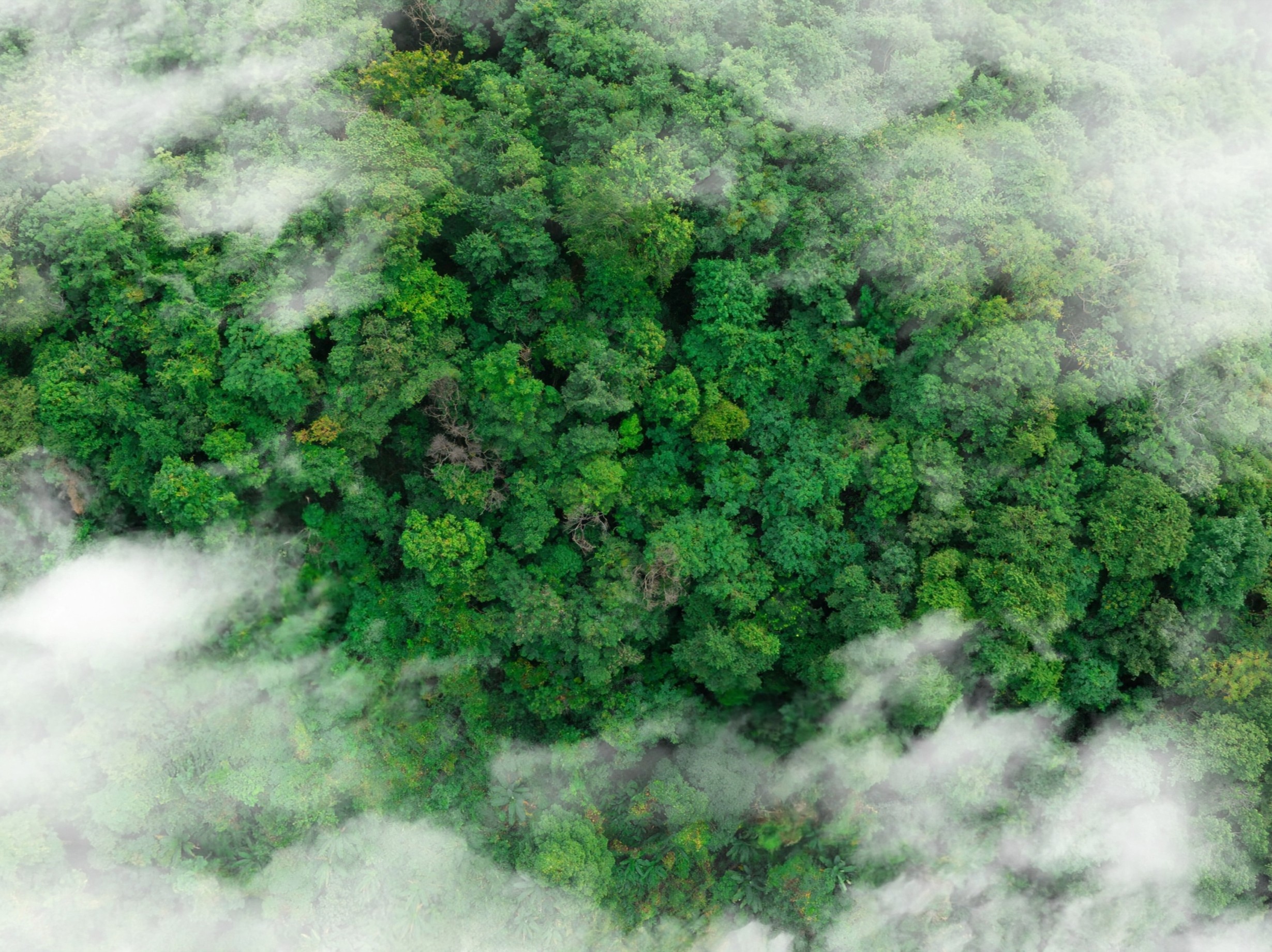 Fading clouds are accelerating climate change - Earth.com