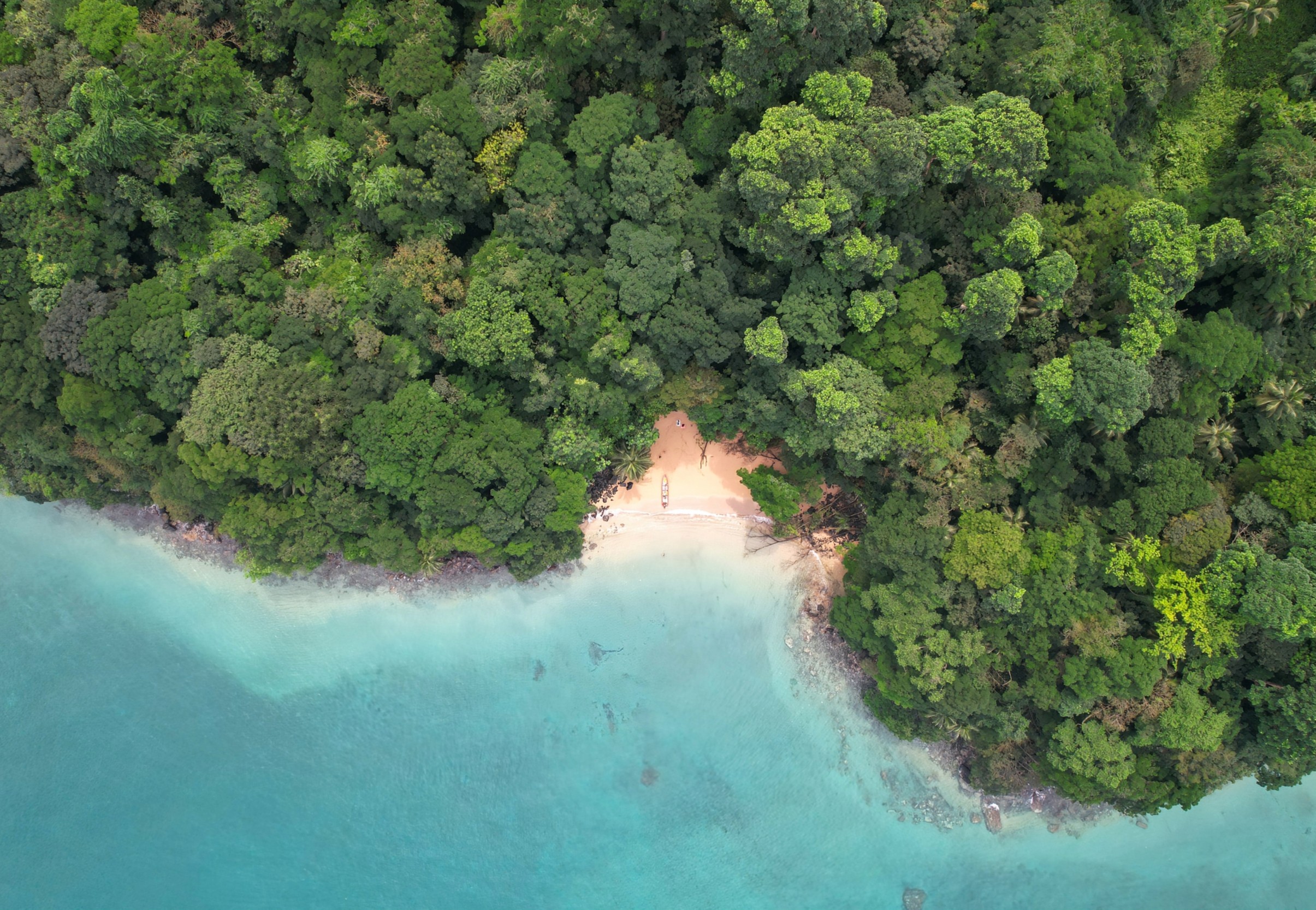 Humans lived in rainforests 80,000 years earlier than we thought ...