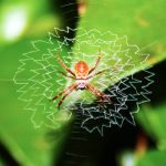 Earth.com -- Earth News, Earth Images, Earth Videos