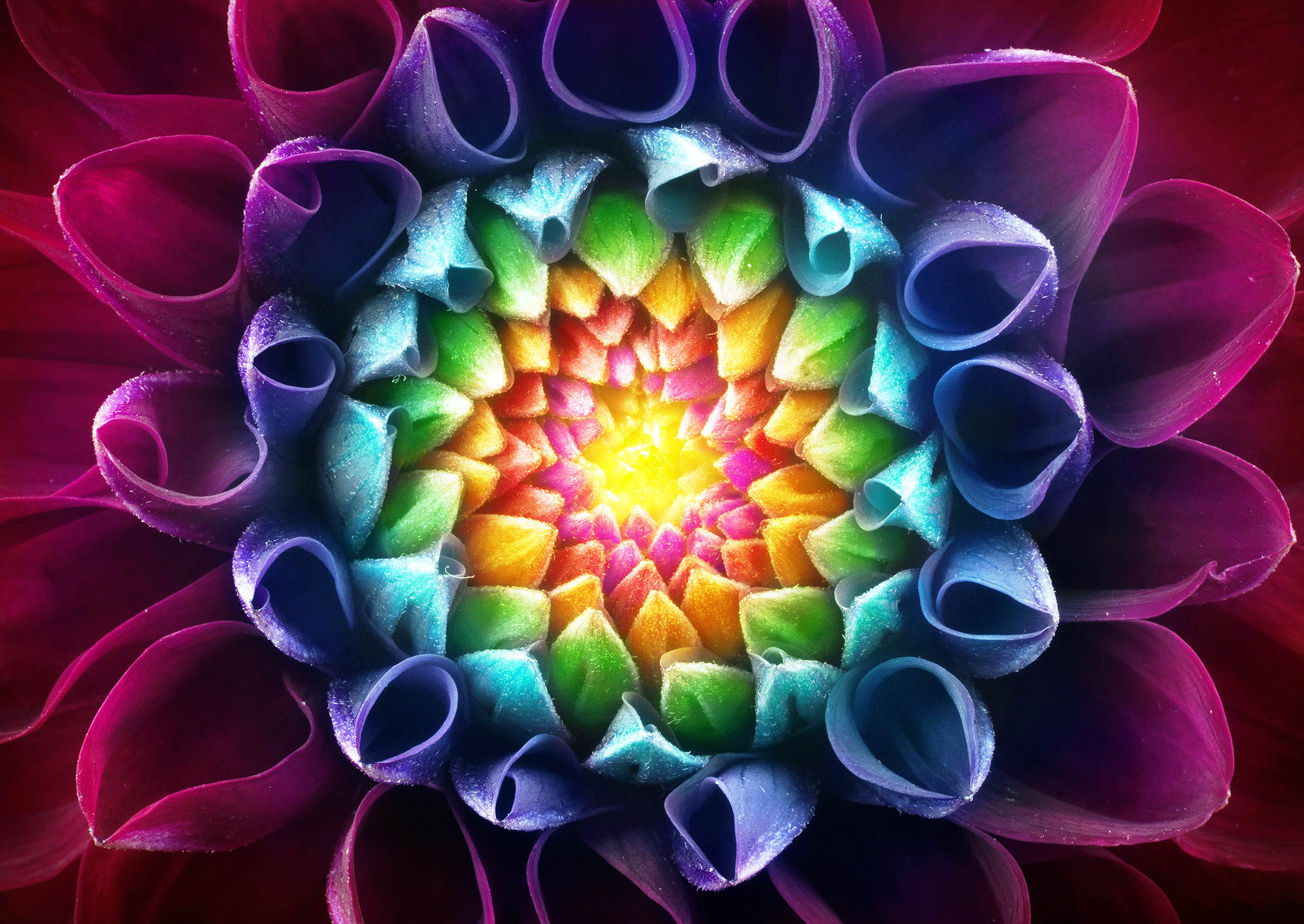 Quantum fractal pattern predicted 50 years ago observed in the lab - Earth.com