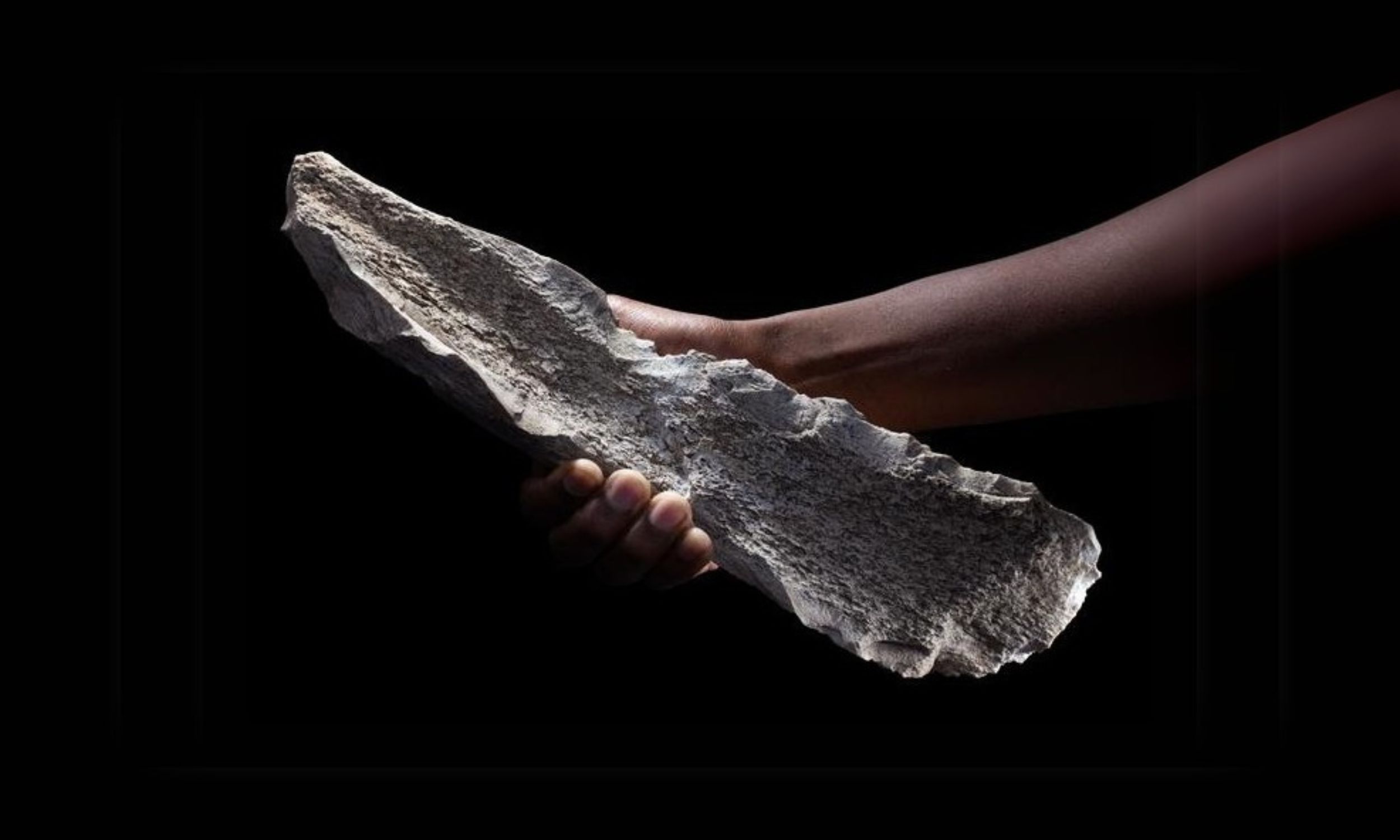 Bone tools suggest early humans were smarter than we thought - Earth.com
