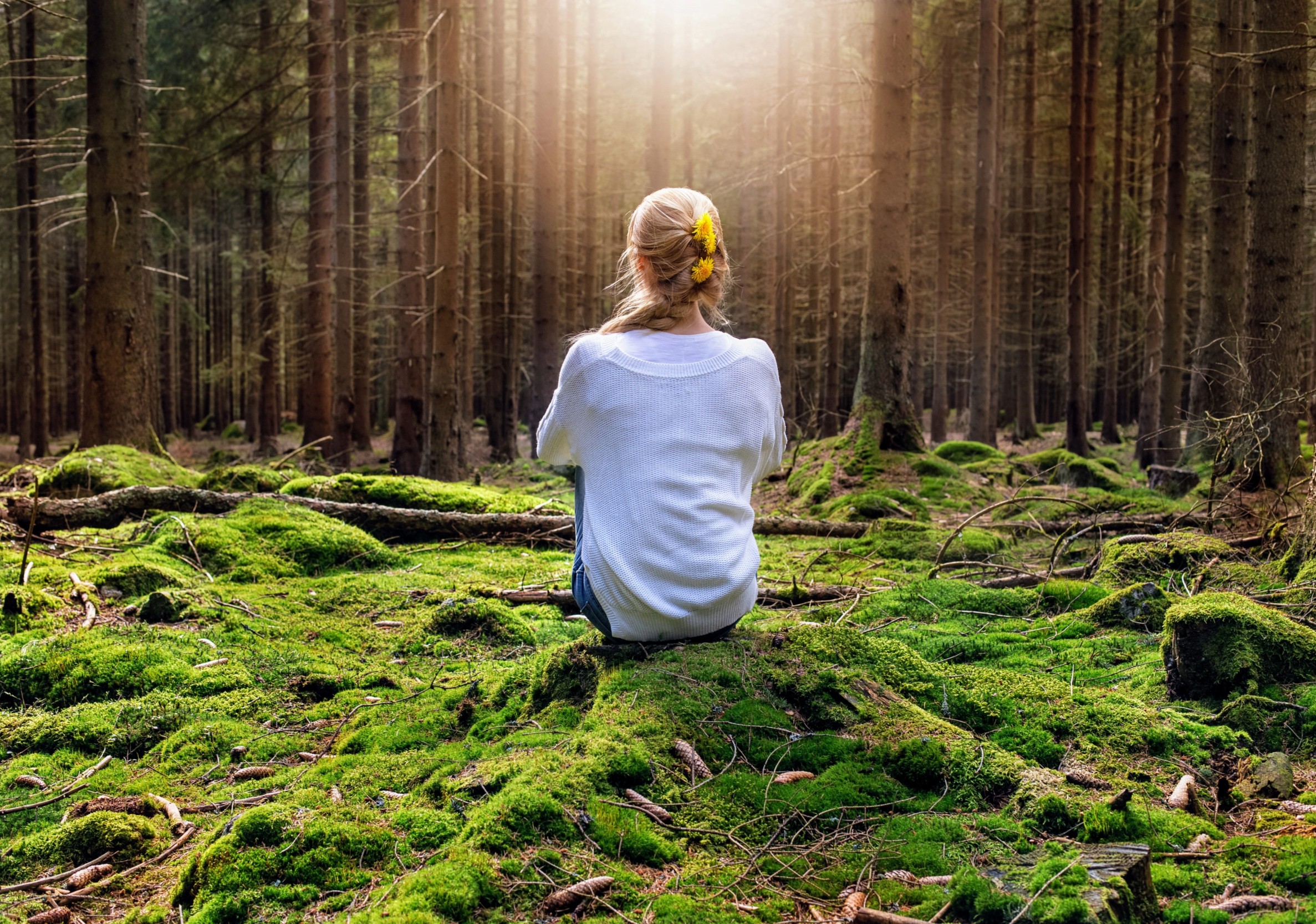 Viewing nature reduces pain by altering brain activity - Earth.com