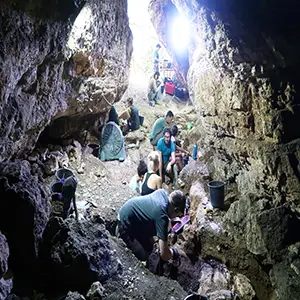 Neanderthals and humans were partners in survival, not enemies - Earth.com
