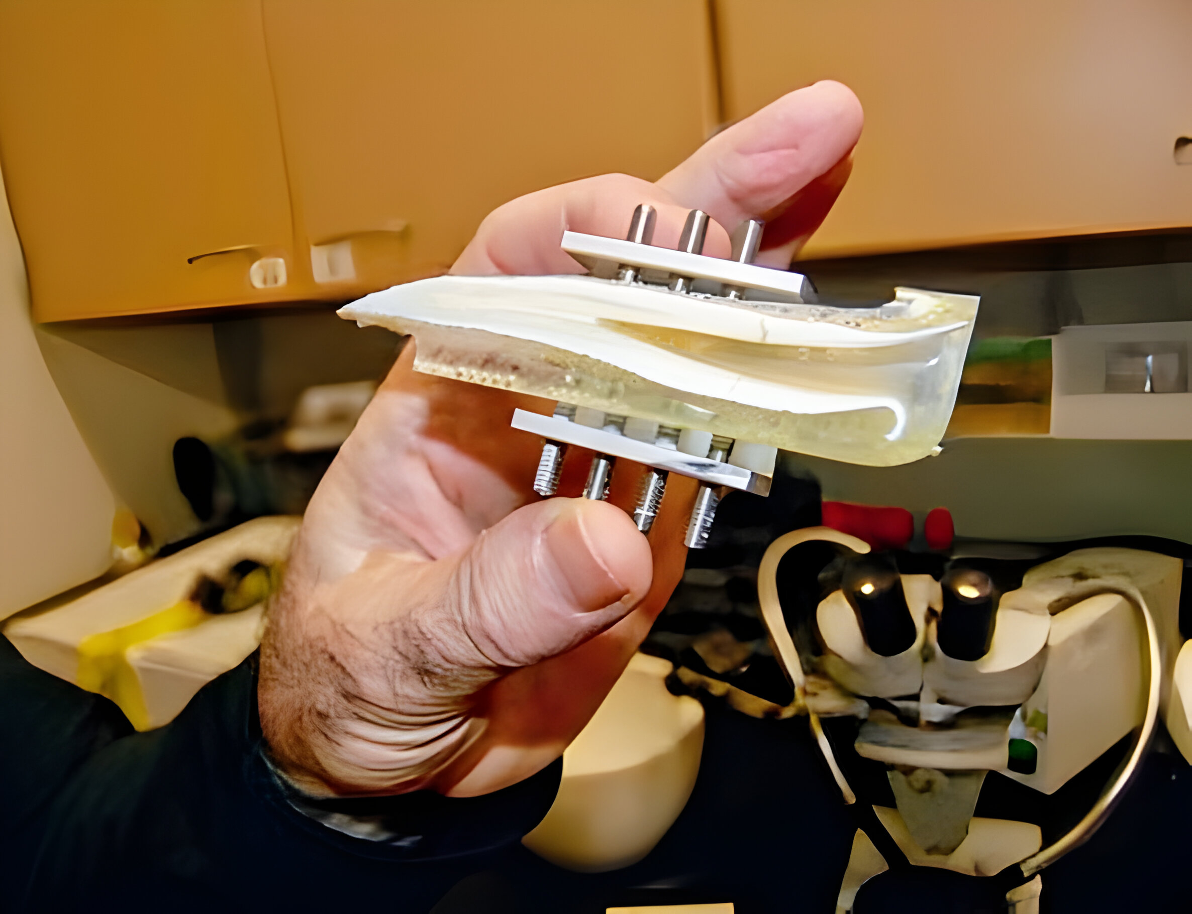 How an elephant's teeth can help us track animal movements - Earth.com