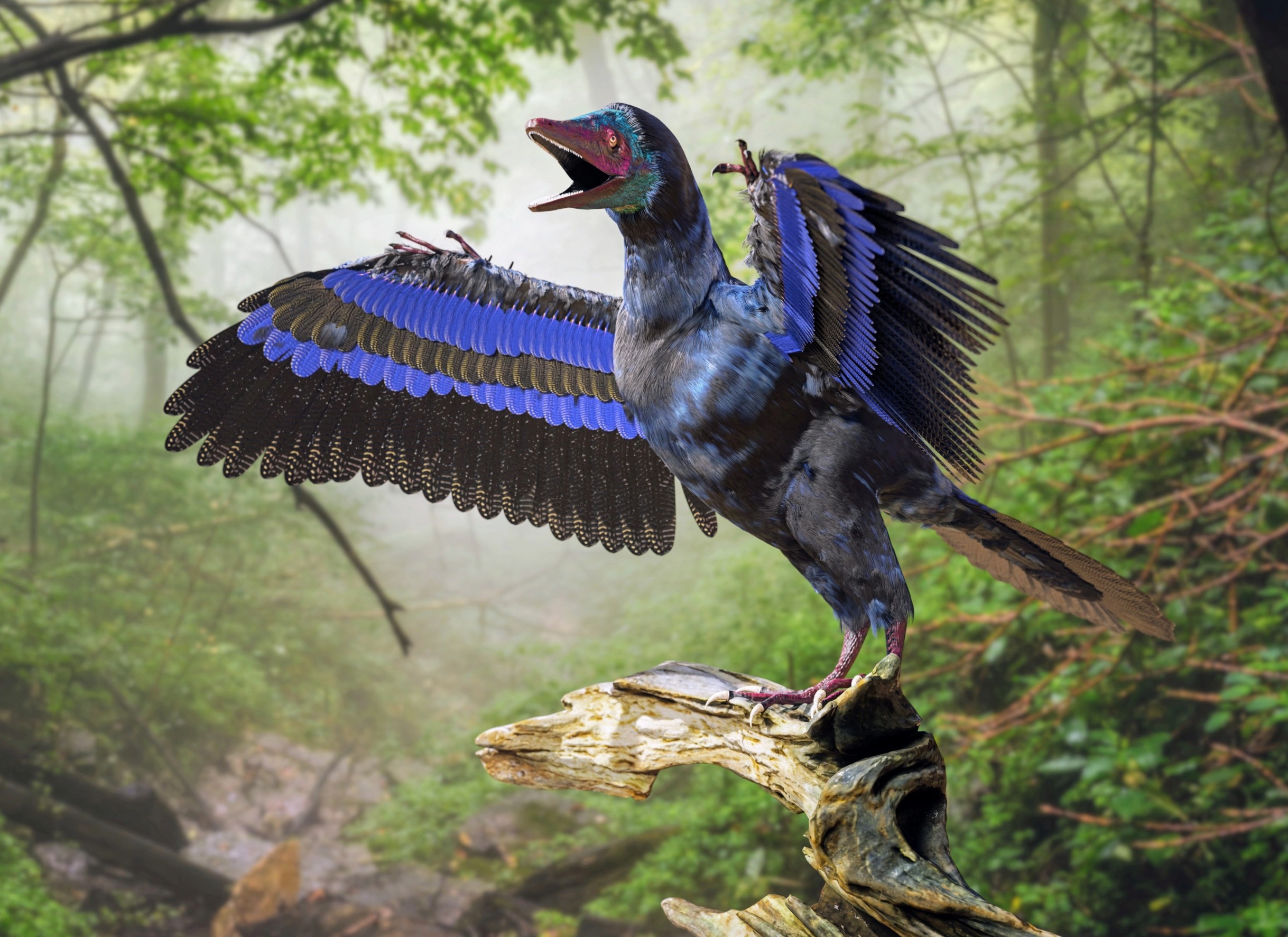‘Wiggly’ skulls helped birds evolve from dinosaurs - Earth.com