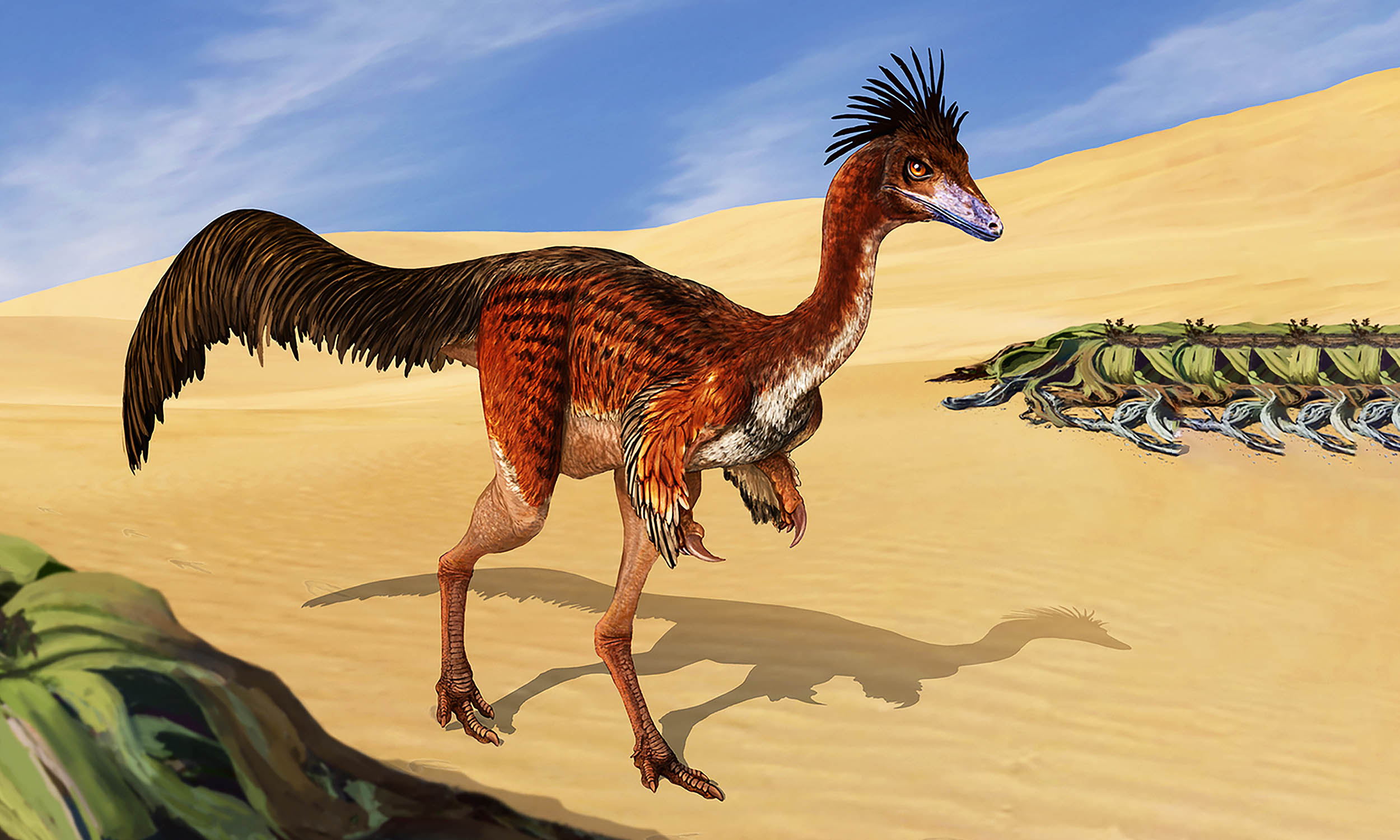 First evidence of 'hollow bones' found in dinosaurs - Earth.com