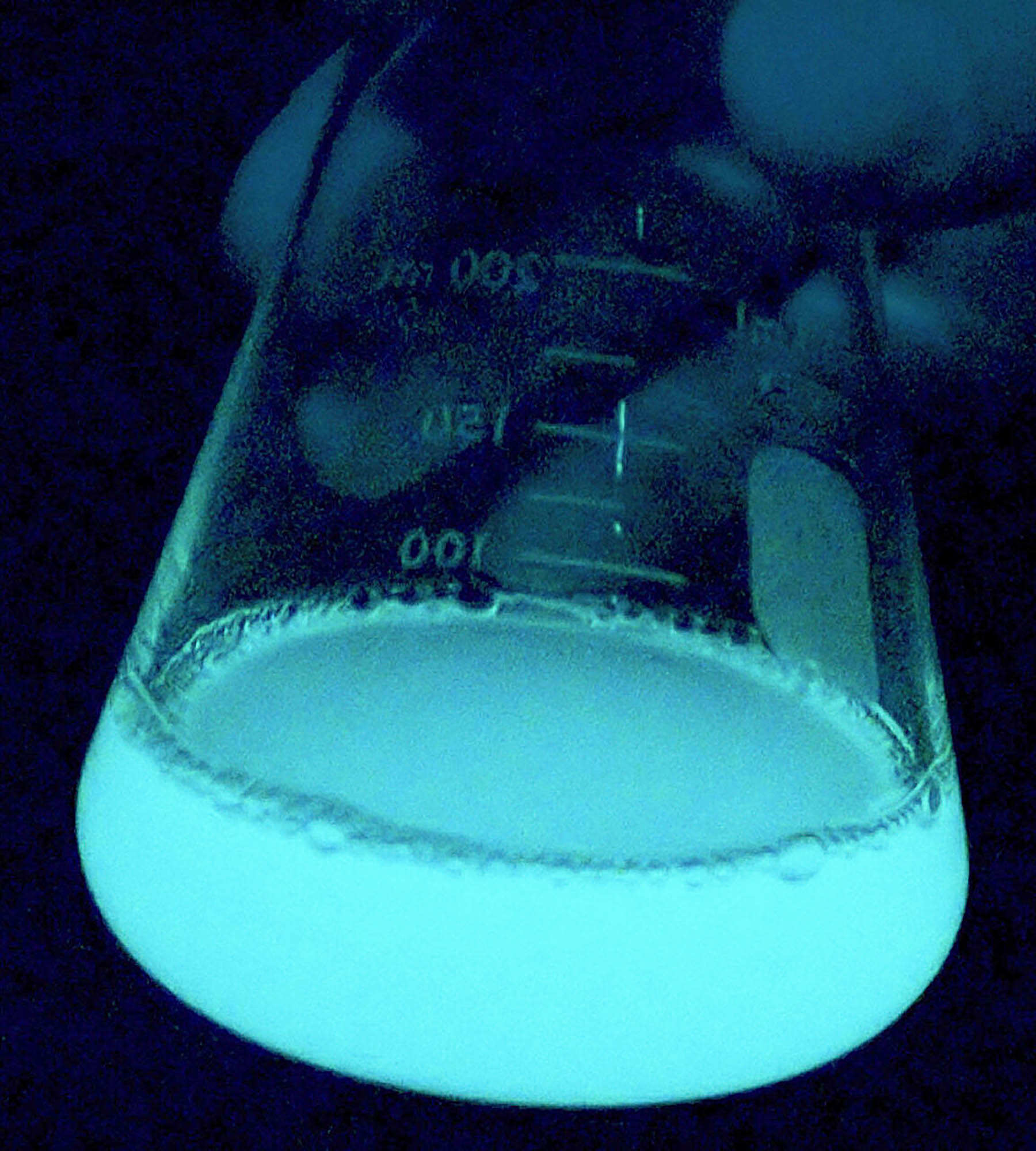 "Milky seas" phenomenon has stumped scientists for 400 years - Earth.com