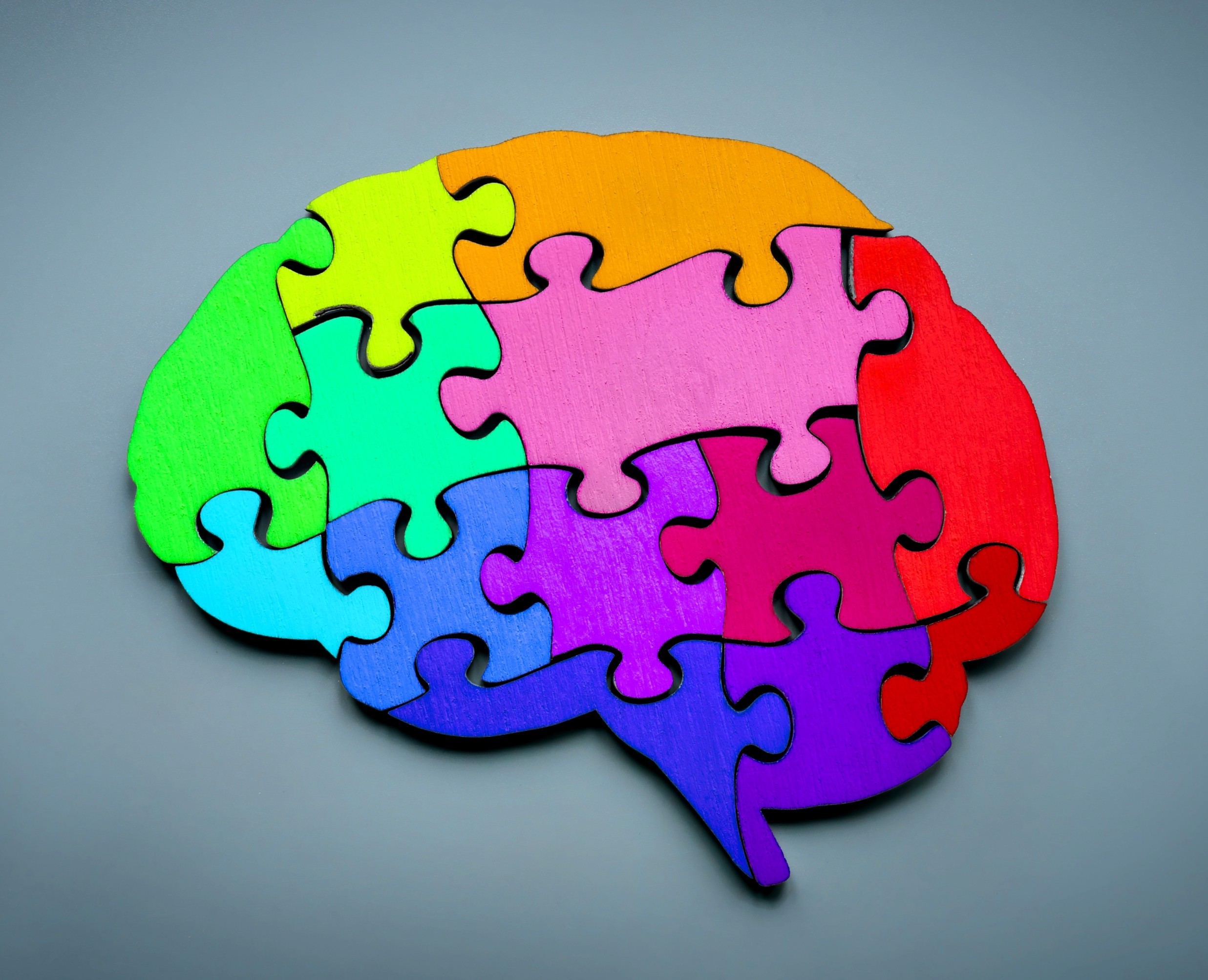 Where logic lives: Brain region responsible for reasoning revealed ...