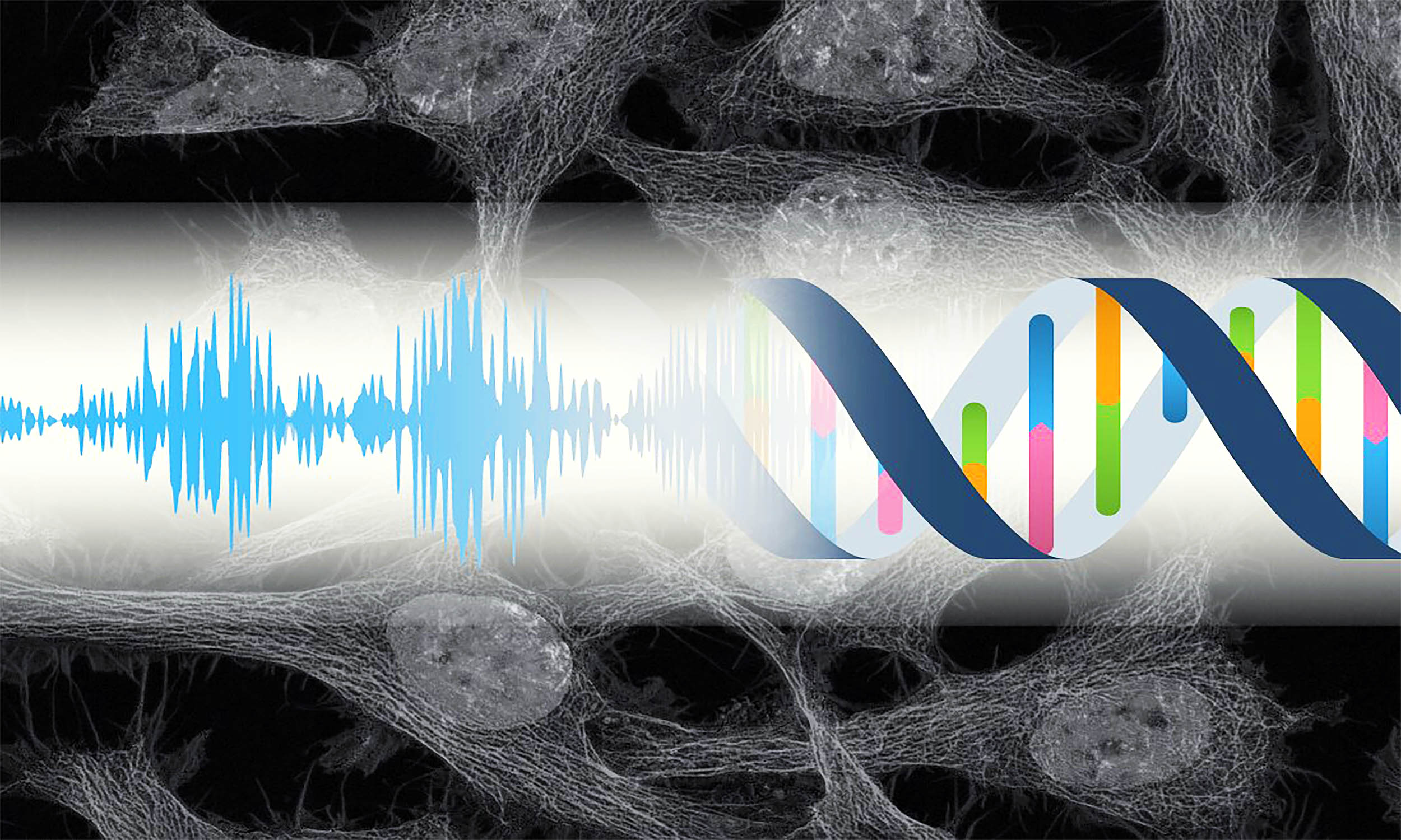 Our cells react to sounds we can't even hear - Earth.com