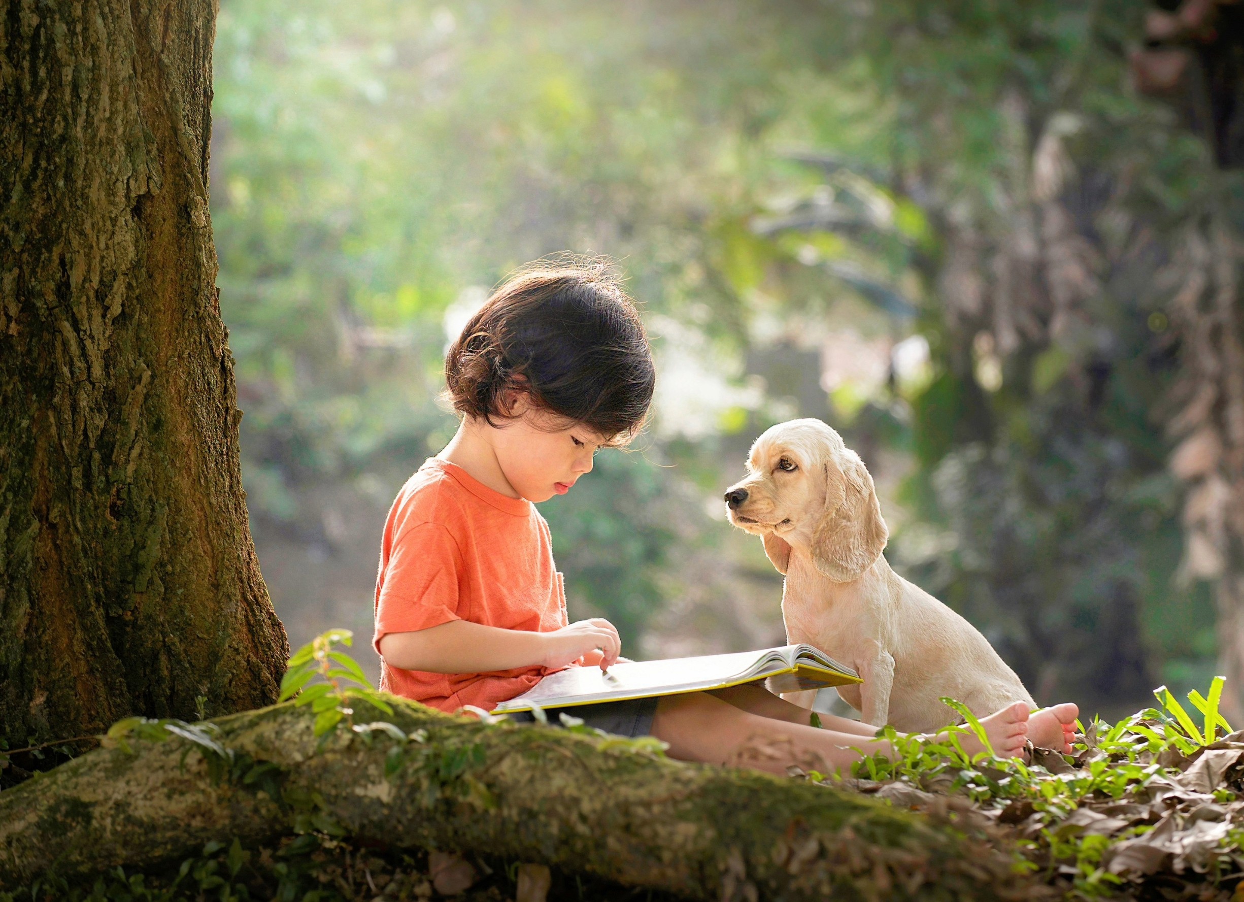 Dogs can understand words even in monotone speech - Earth.com