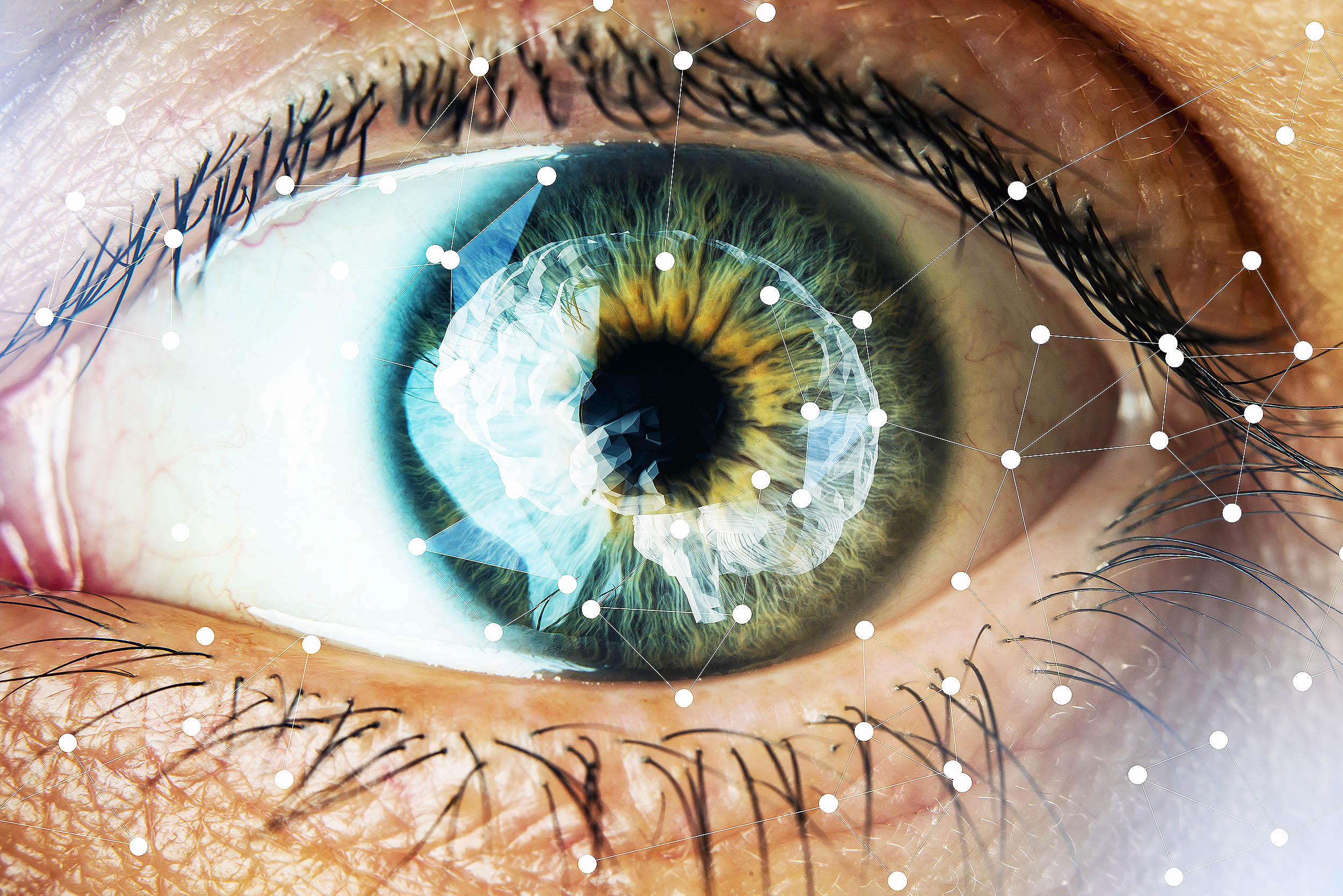 The brain decides what it "wants" you to see, not always what's real ...