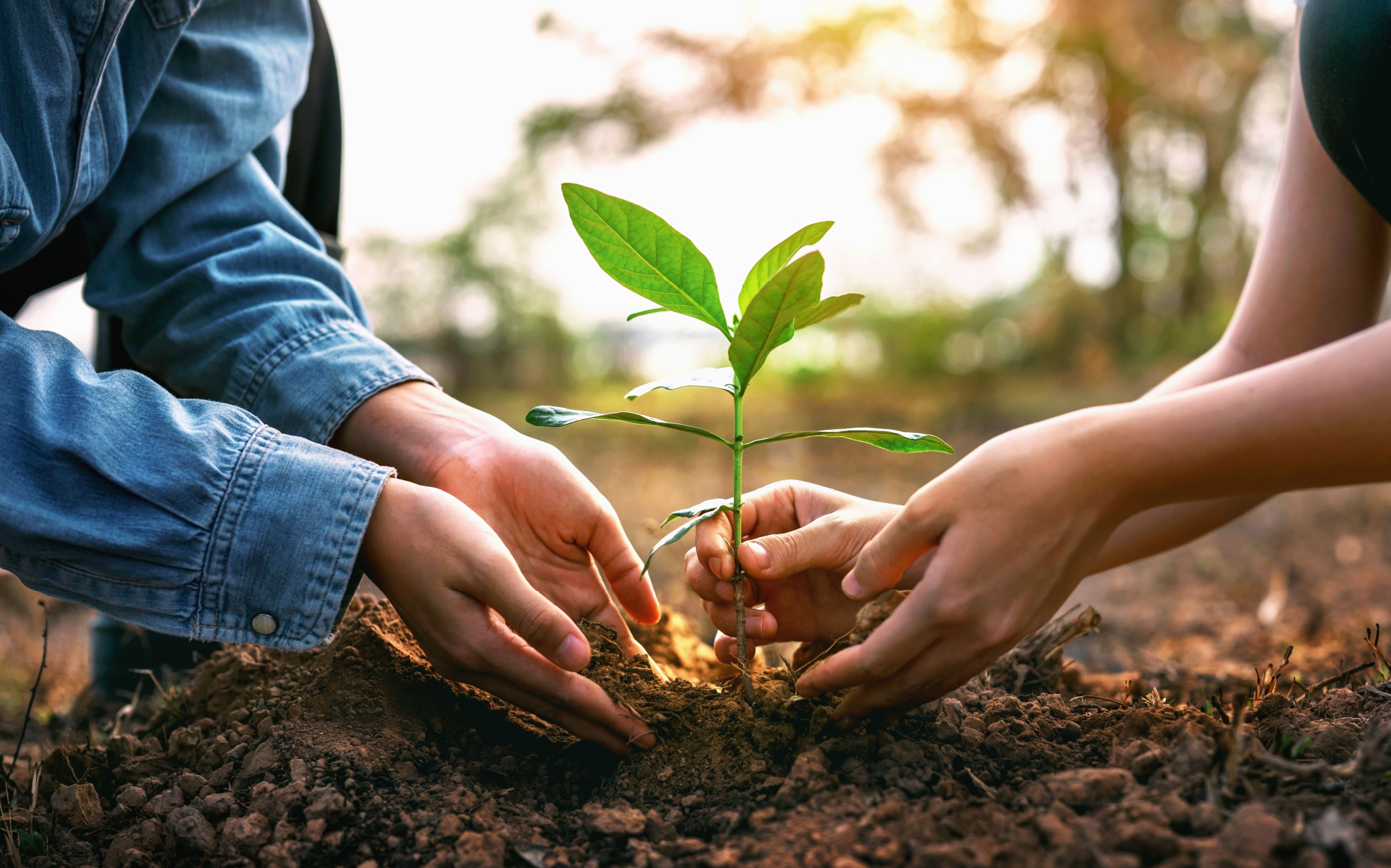 Mutual relationships with nature offer hope for a sustainable future ...