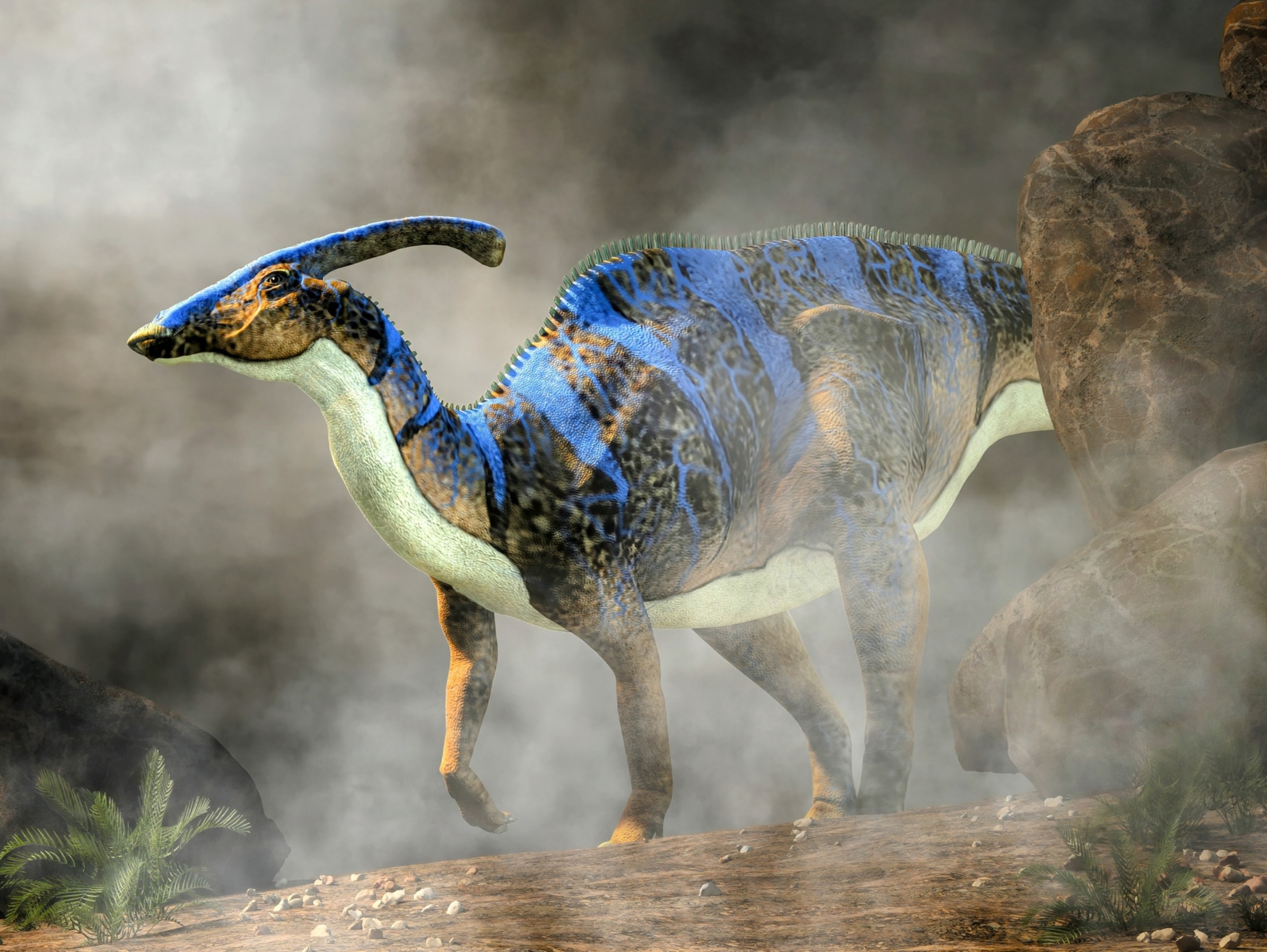 Dinosaur fossils reveal cancer clues for modern medicine - Earth.com