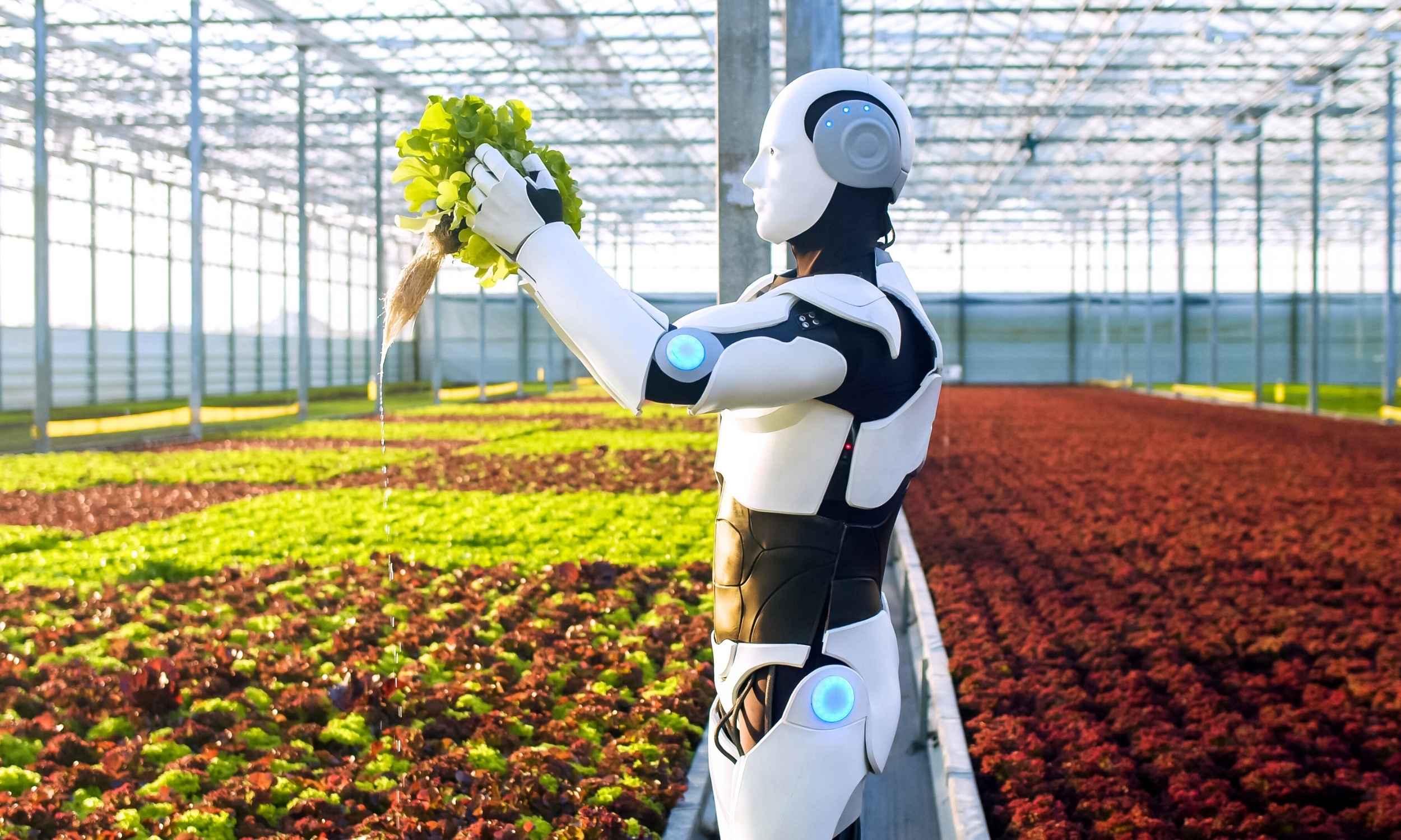 AI model deciphers plant DNA in major agricultural breakthrough - Earth.com