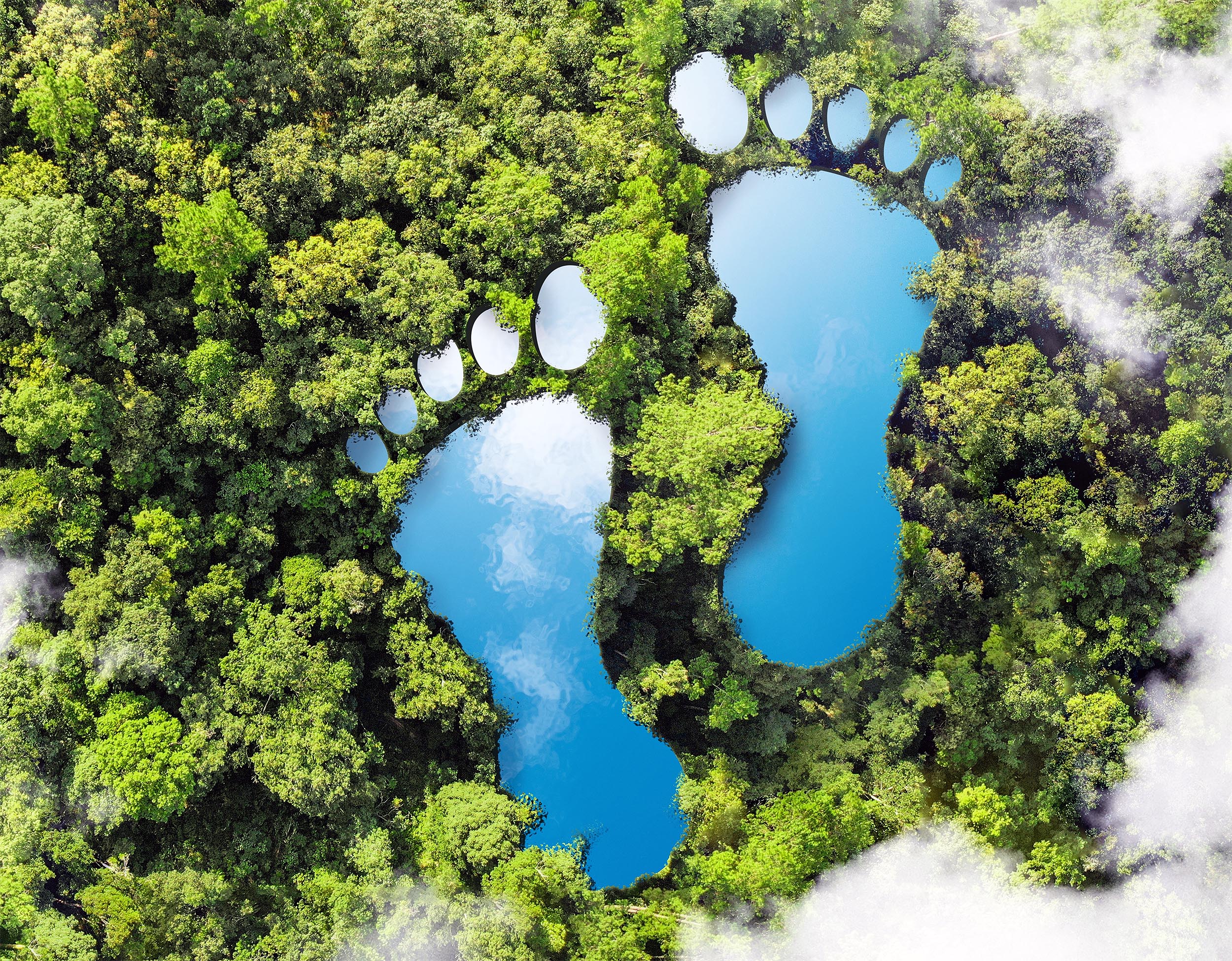Most Americans greatly underestimate their carbon footprint - Earth.com