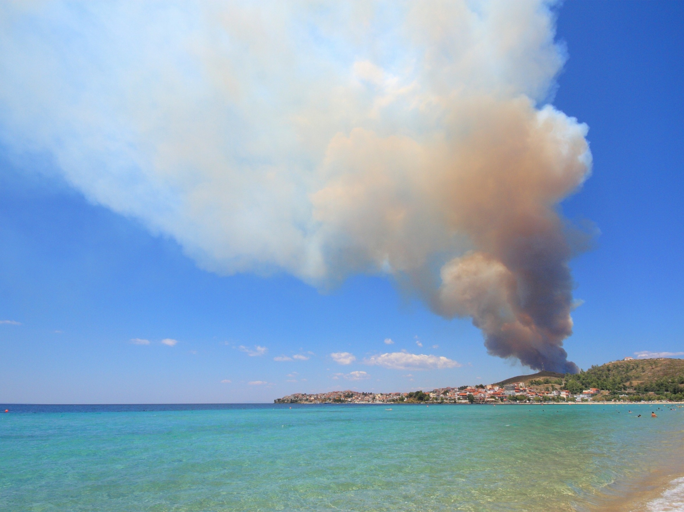 Forest fire smoke boosts ocean life - but with a hidden cost - Earth.com