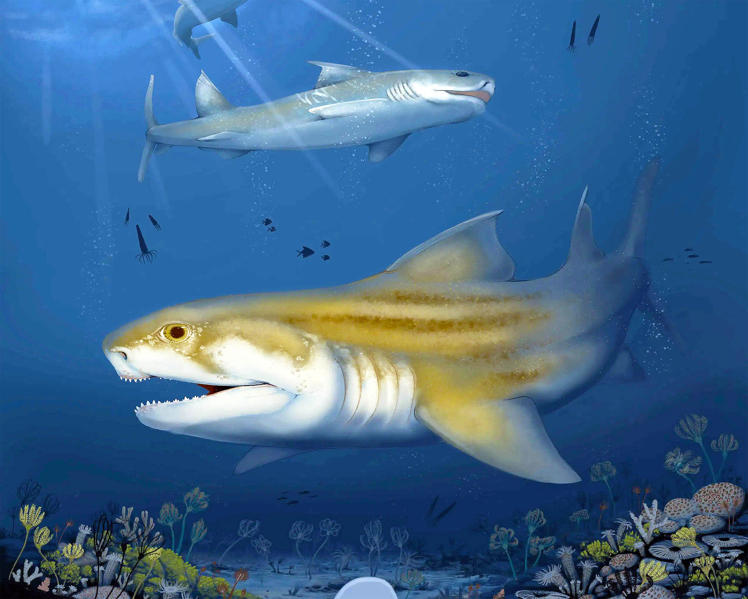 Two prehistoric sea monsters found in the world's largest cave - Earth.com