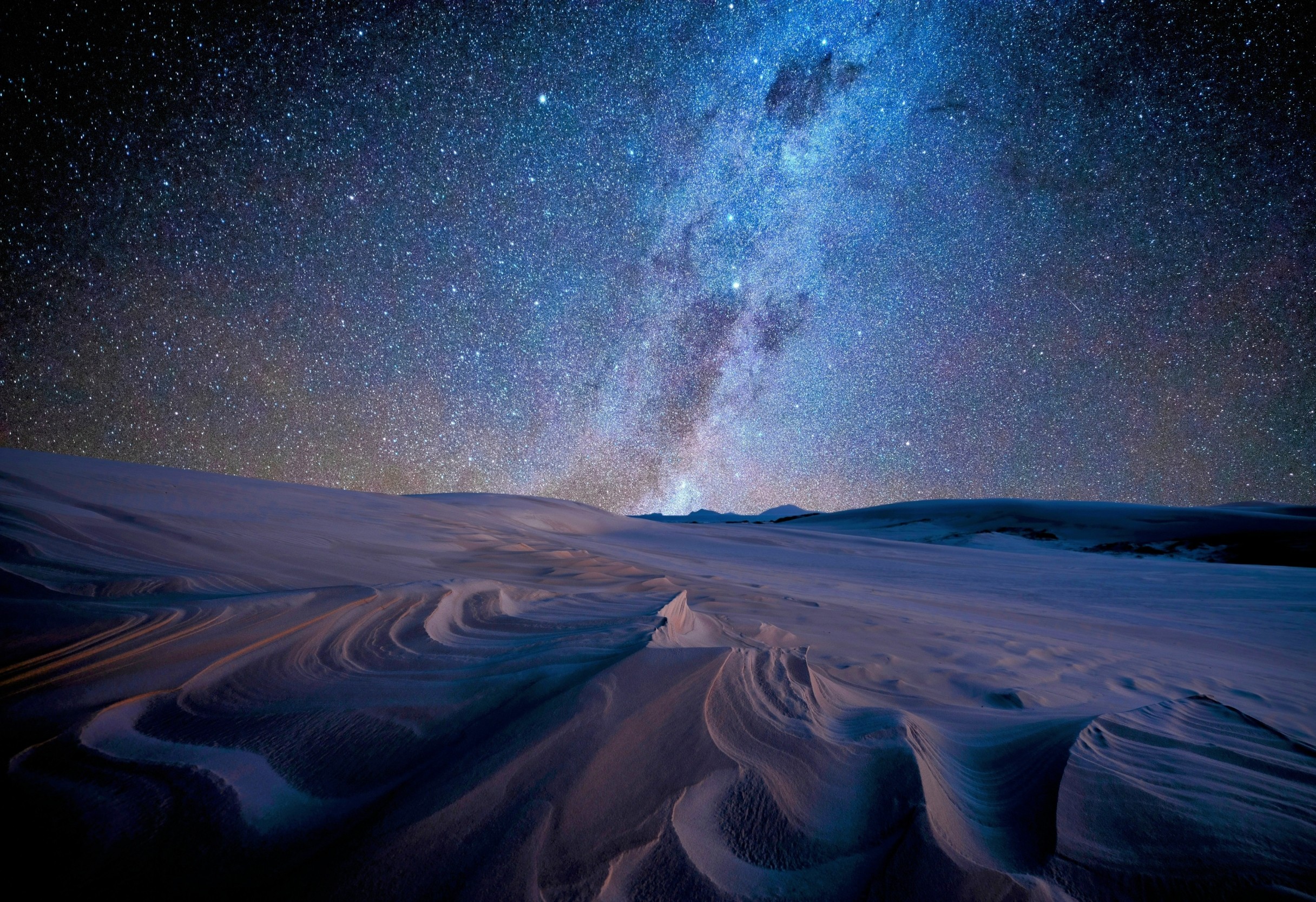 Moths read the stars to complete an epic migration - Earth.com