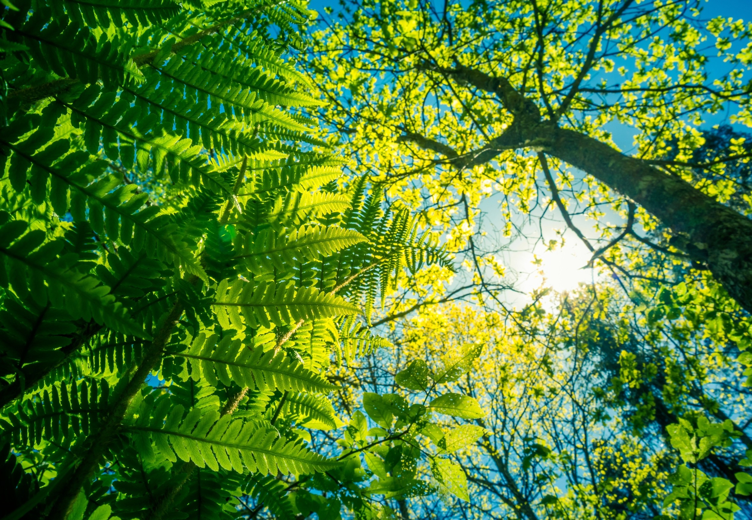 Carla vyx leaks telegram went to a gated area a little