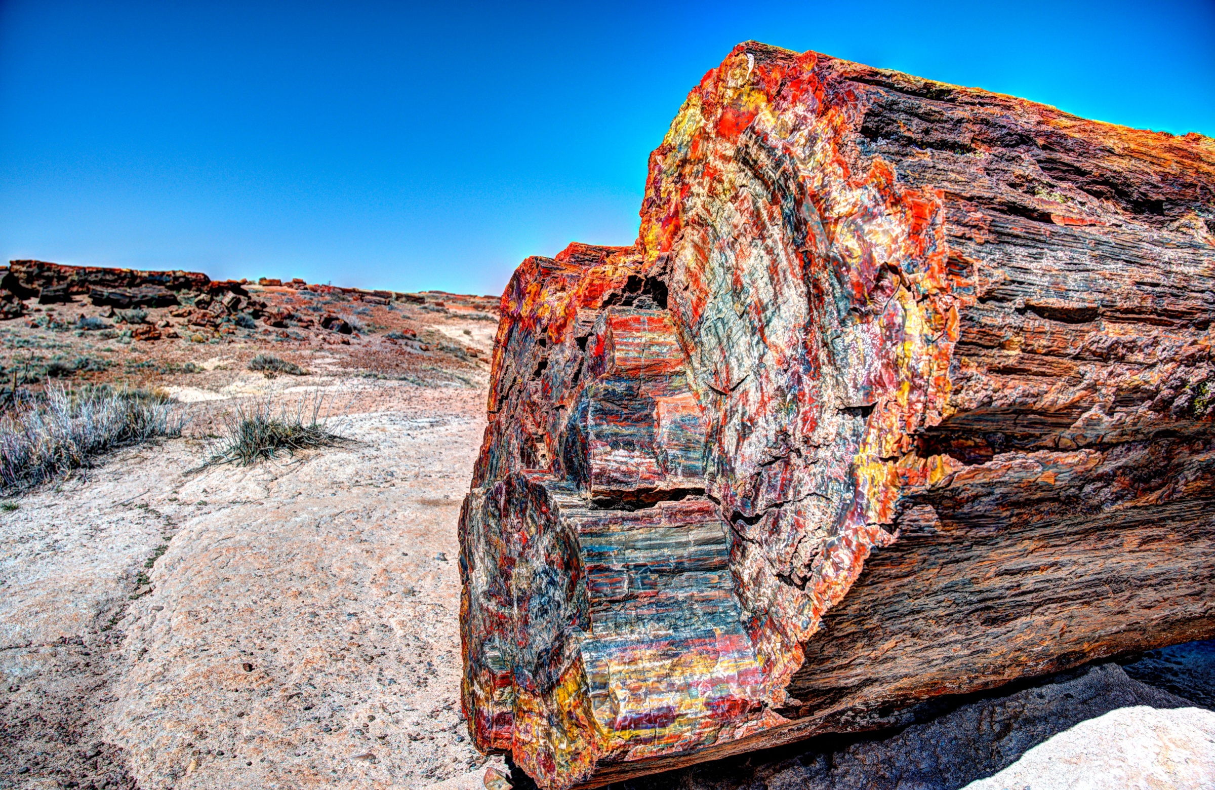 Benedetta lolli leaked porn had a really amazing time with