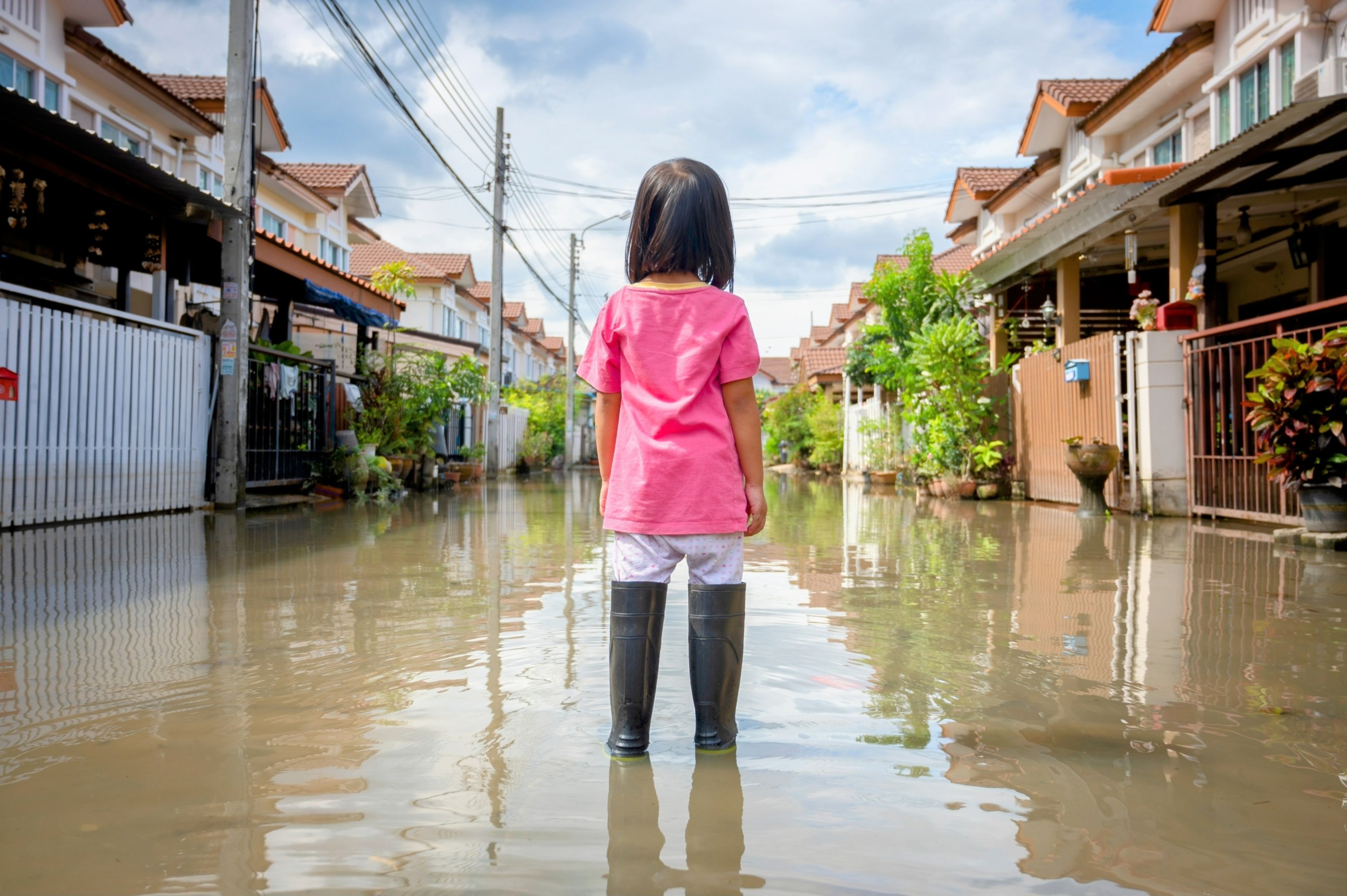 Forest removal can turn rare floods into regular disasters - Earth.com