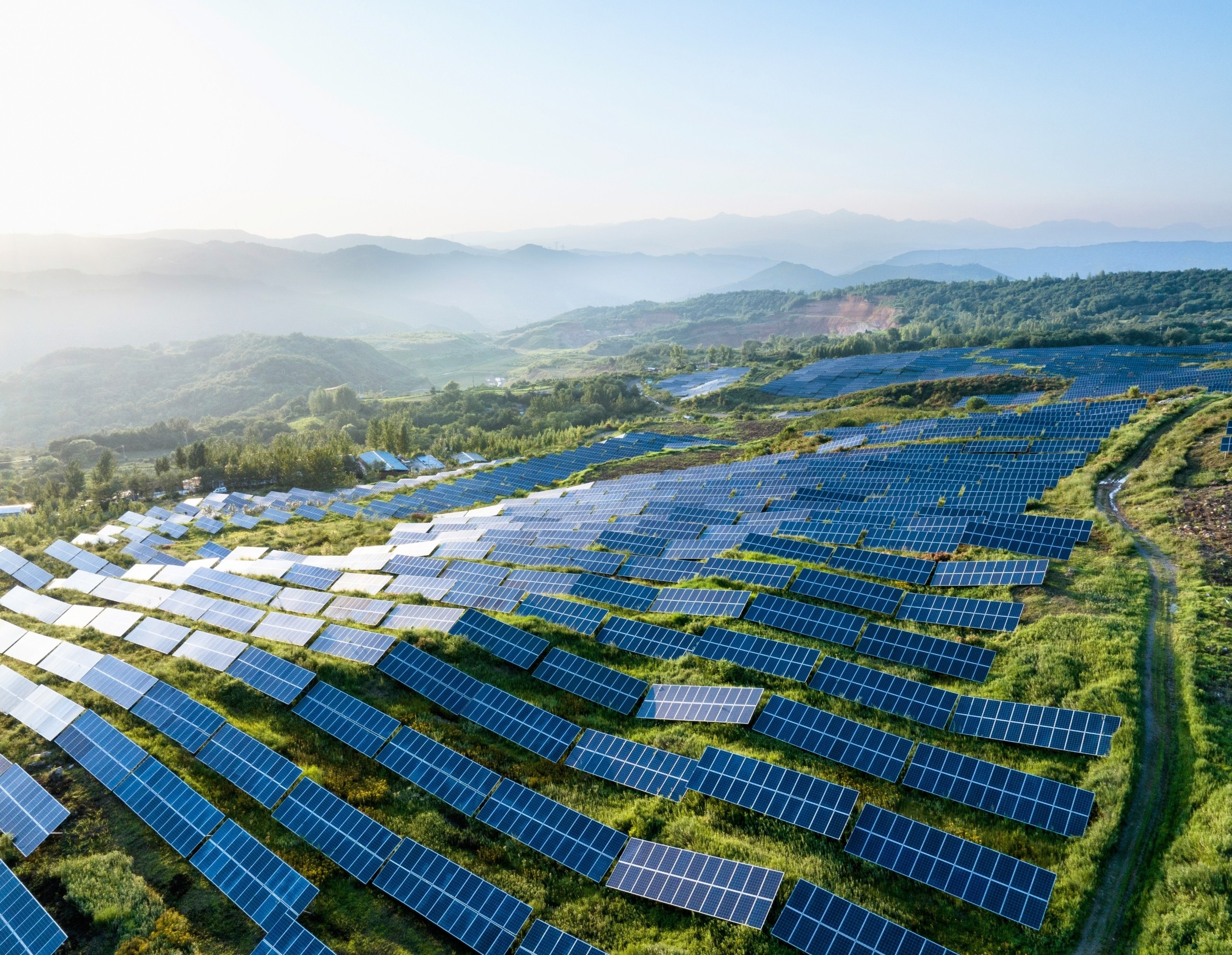 Solar farms need better design to protect wildlife - Earth.com