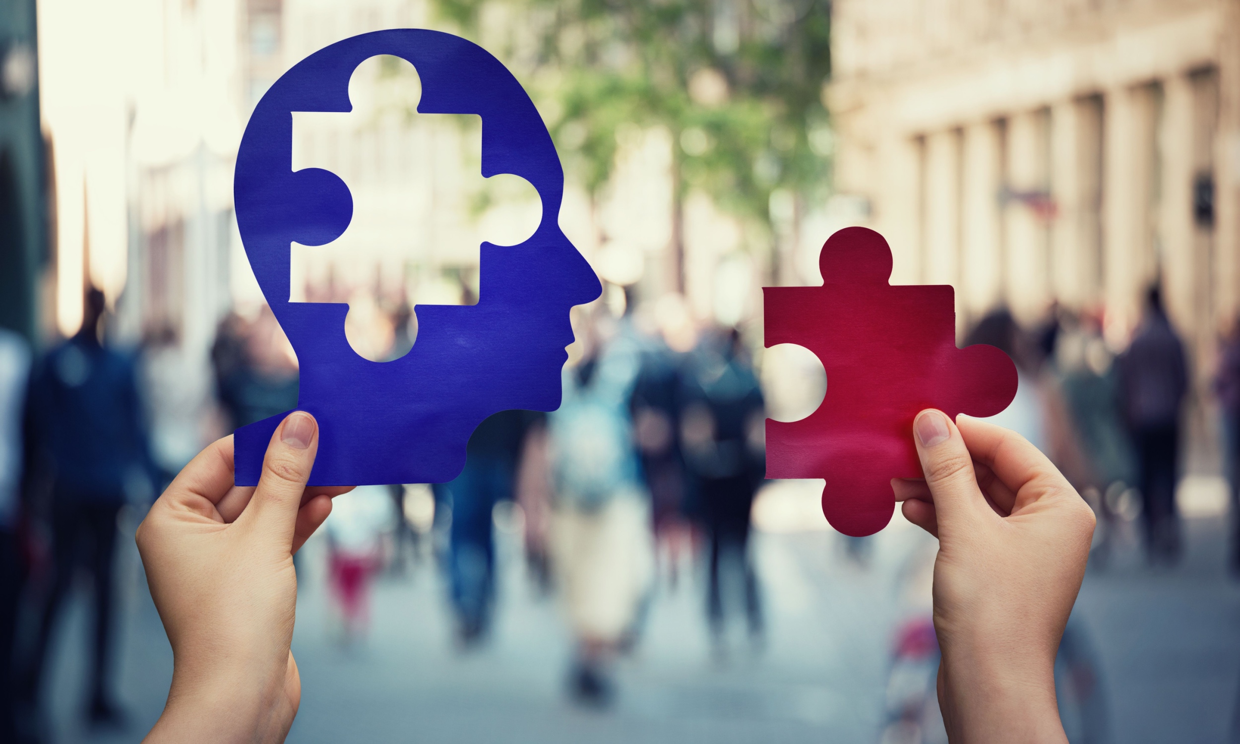 Our brain has a 'filing system' to sort visual memories - Earth.com