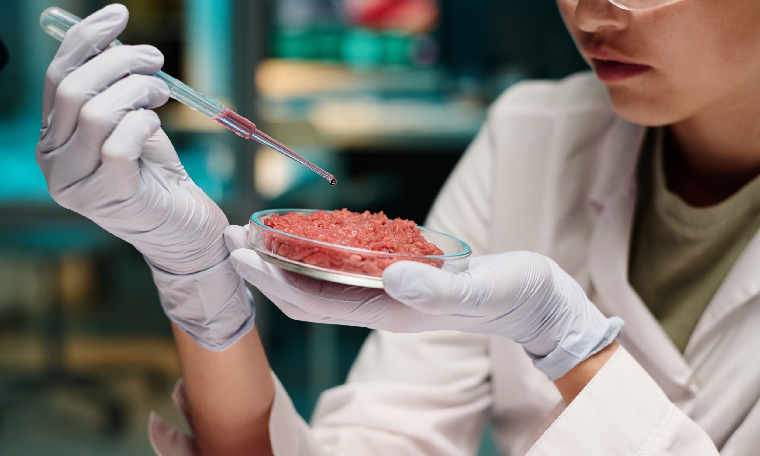 Burgers without the cow? Lab-grown beef is closer to reality - Earth.com
