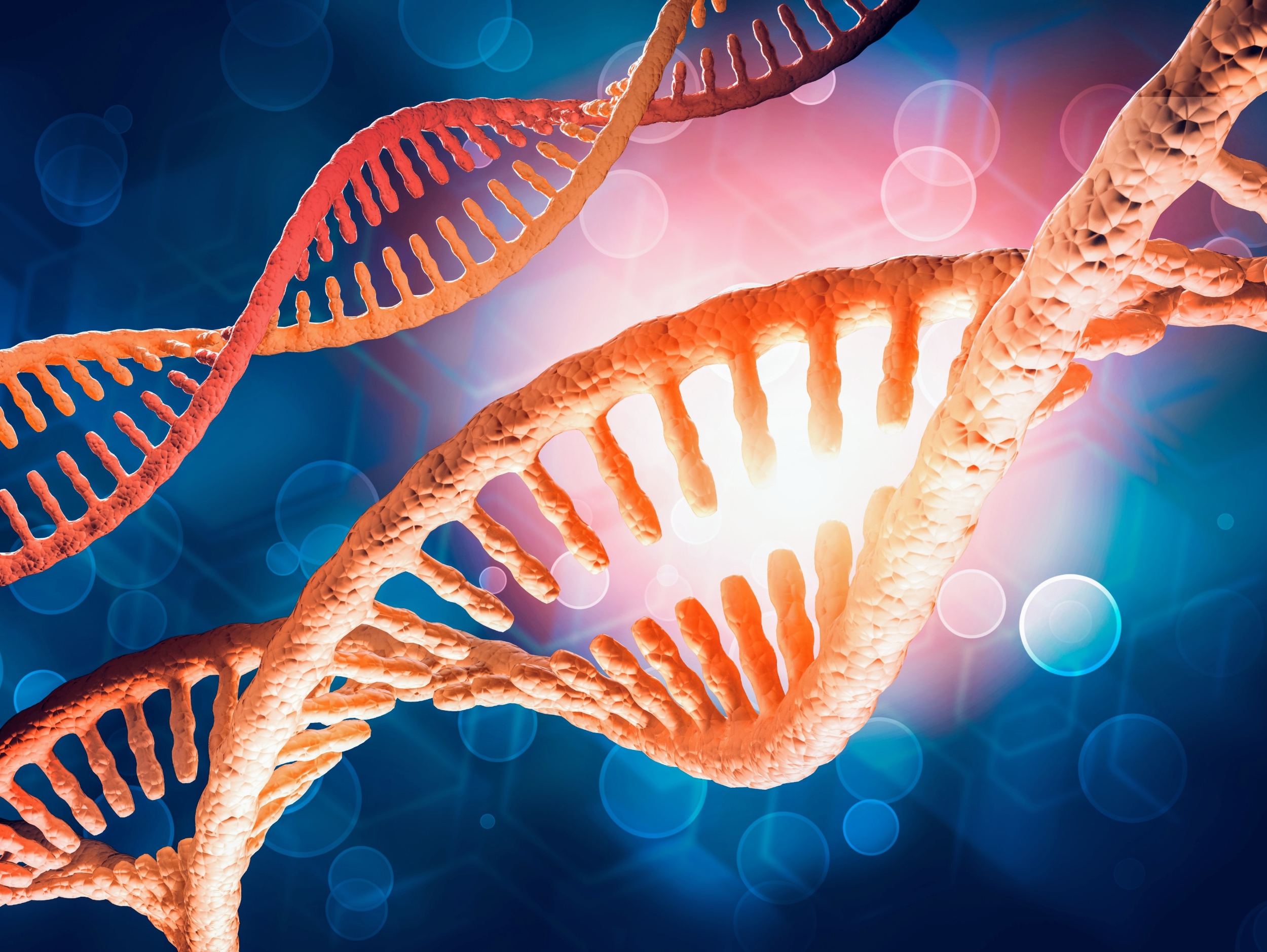 Humans carry hidden hibernation genes that could treat diseases - Earth.com