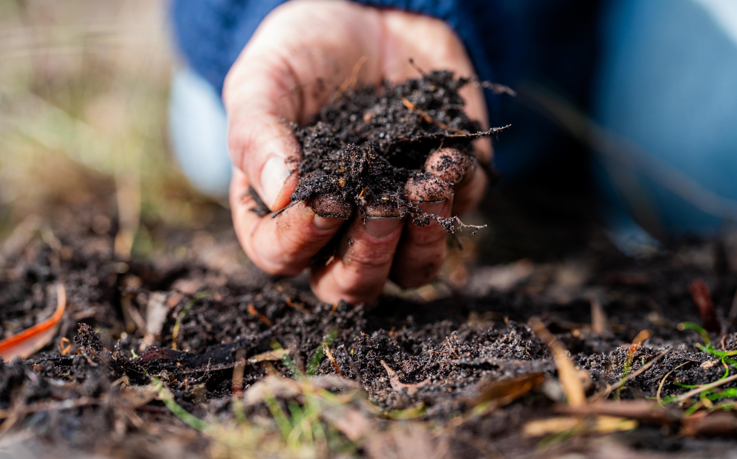 Organic matter helps soil hold water - even in conditions like Mars ...