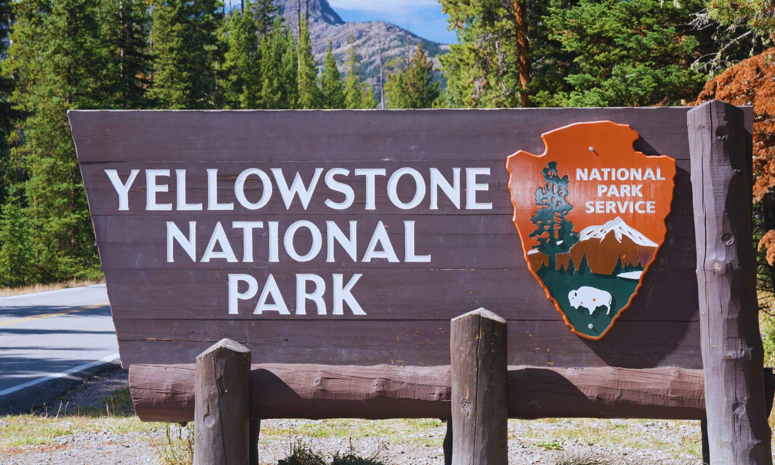 The return of wolves revives trees that had not grown for 80 years ...