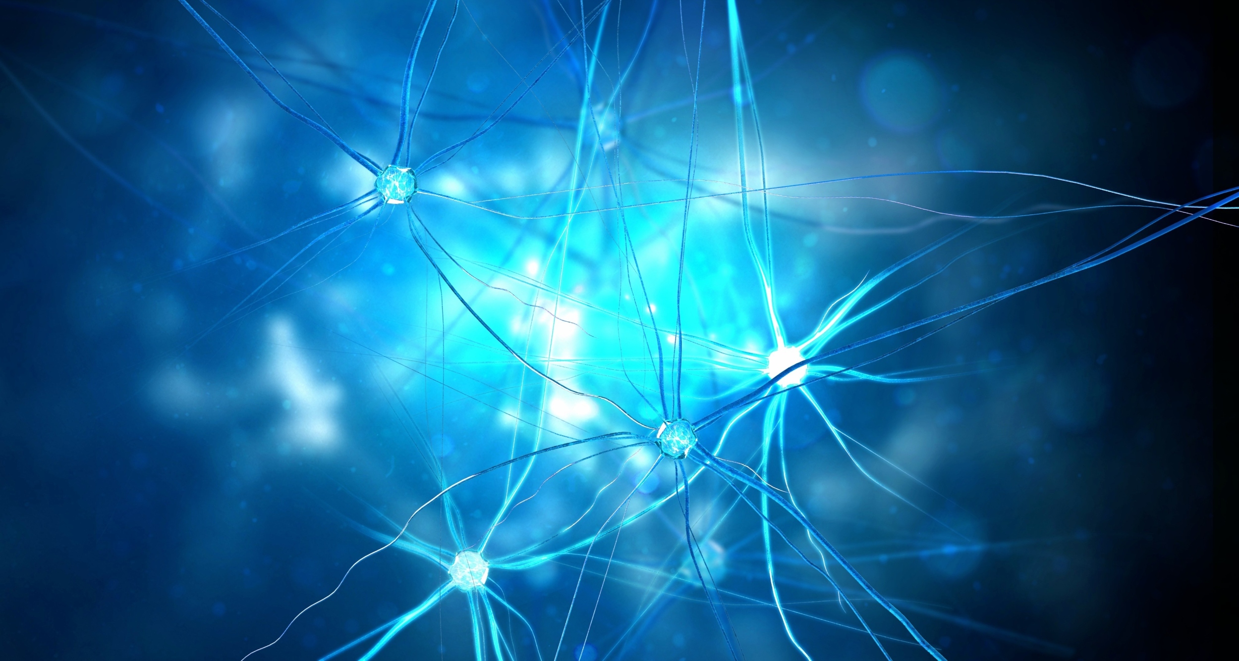 How blood sugar stays steady at night: Brain network revealed - Earth.com