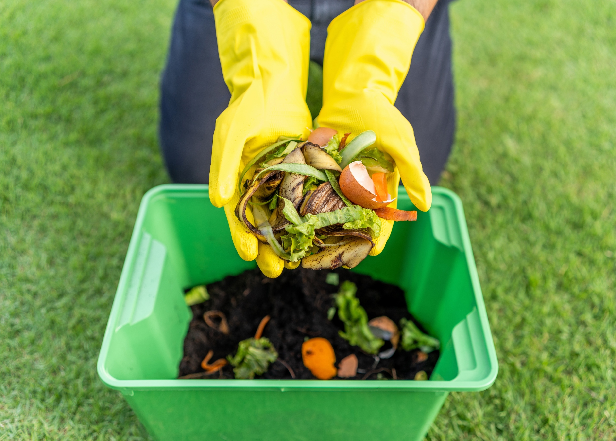 Food waste is a growing climate threat - can composting help? - Earth.com