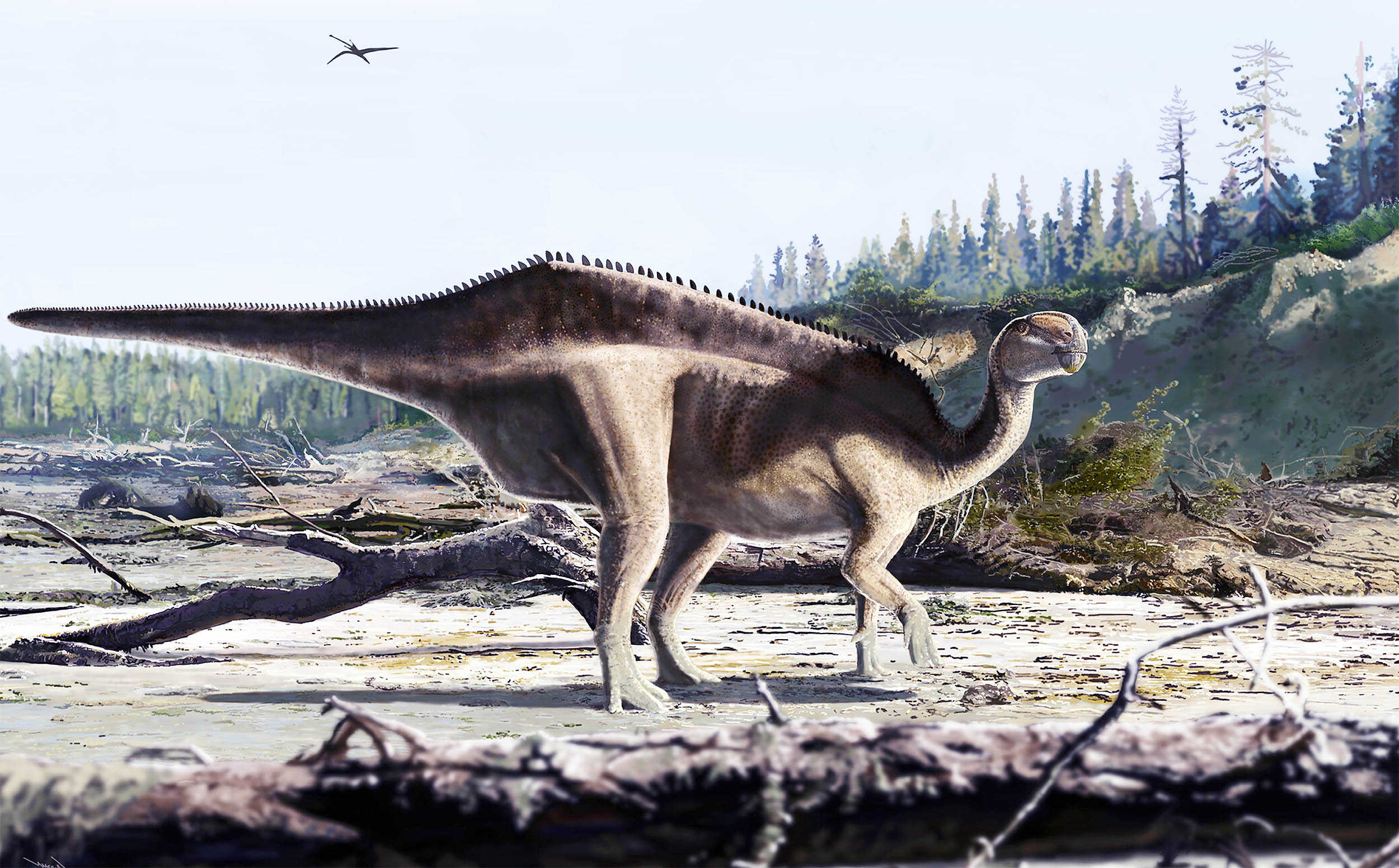 Unique dinosaur species discovered from bones in a basement - Earth.com