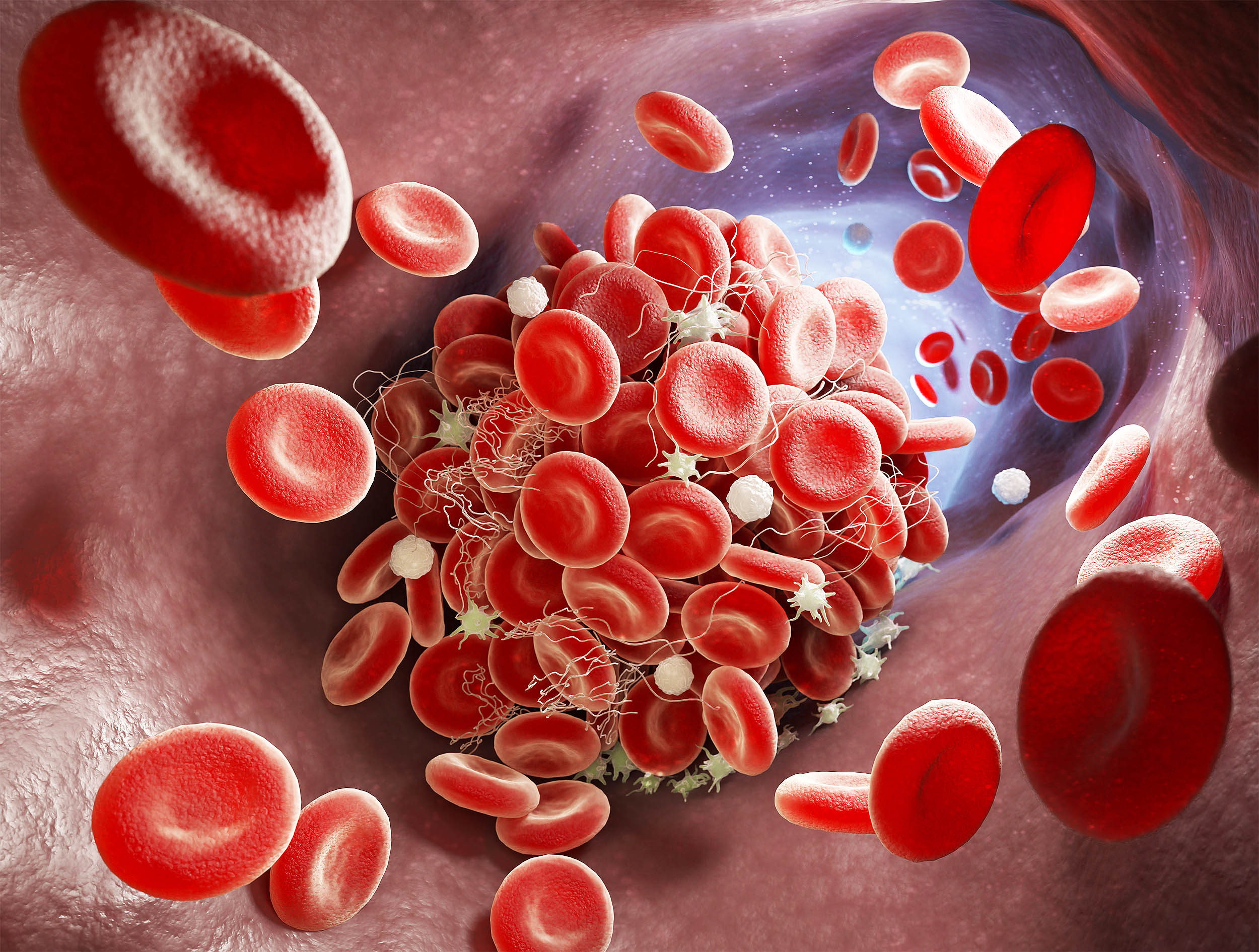 Soundwave vibrations strengthen tissues and quickly heal wounds - Earth.com