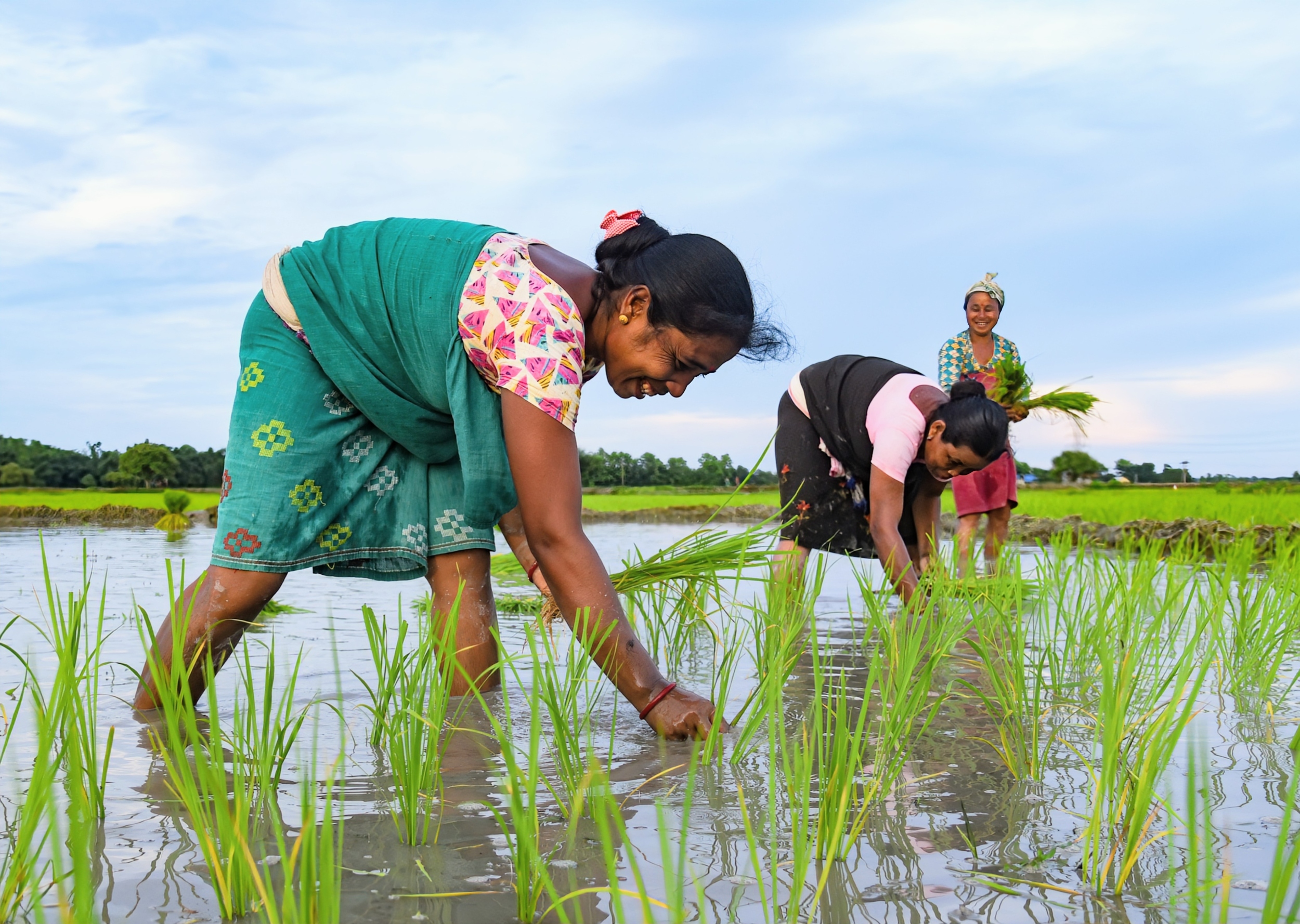How the global food trade drains water from poor communities - Earth.com