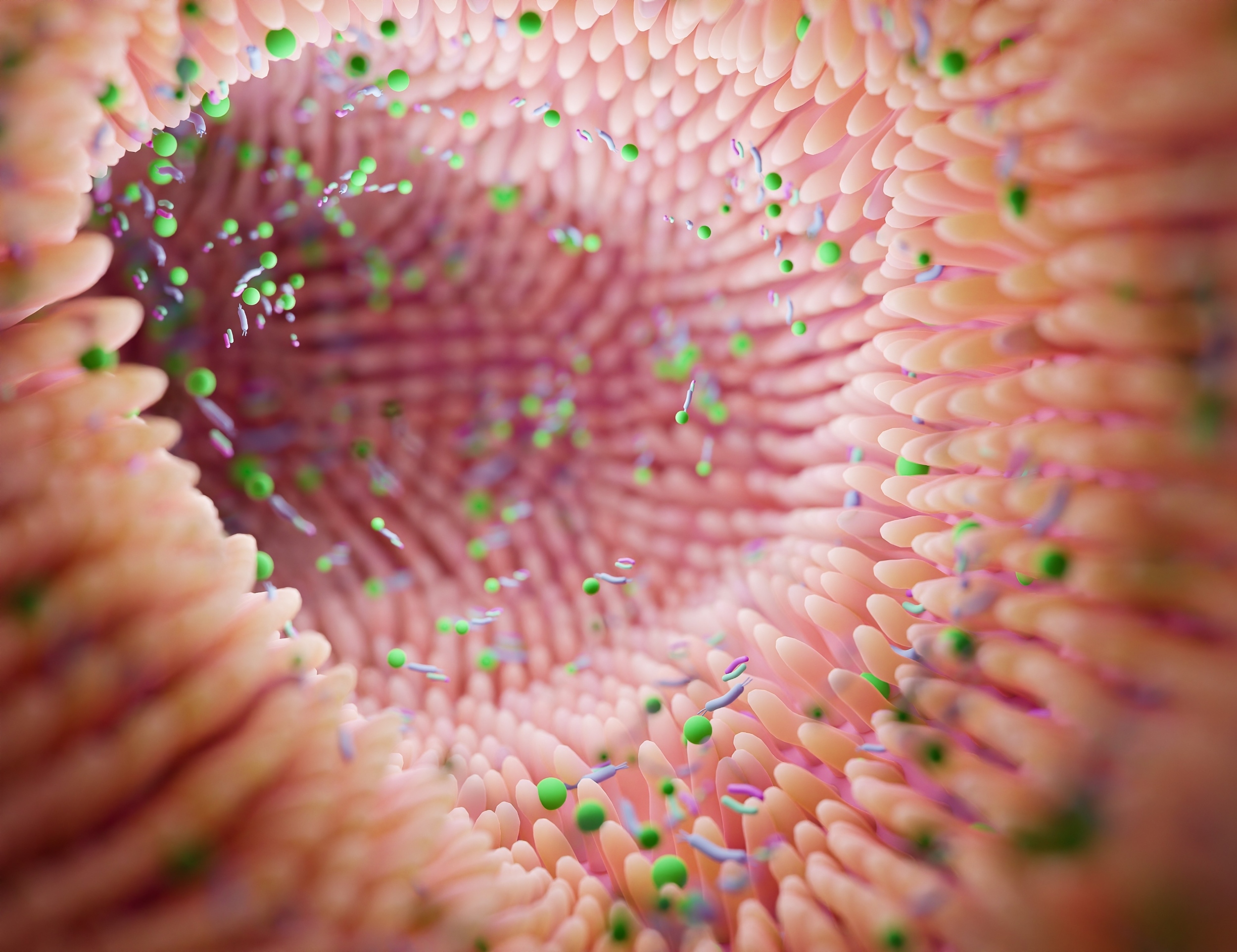 Gut bacteria 'sniff out' nutrients with big effects on our health ...