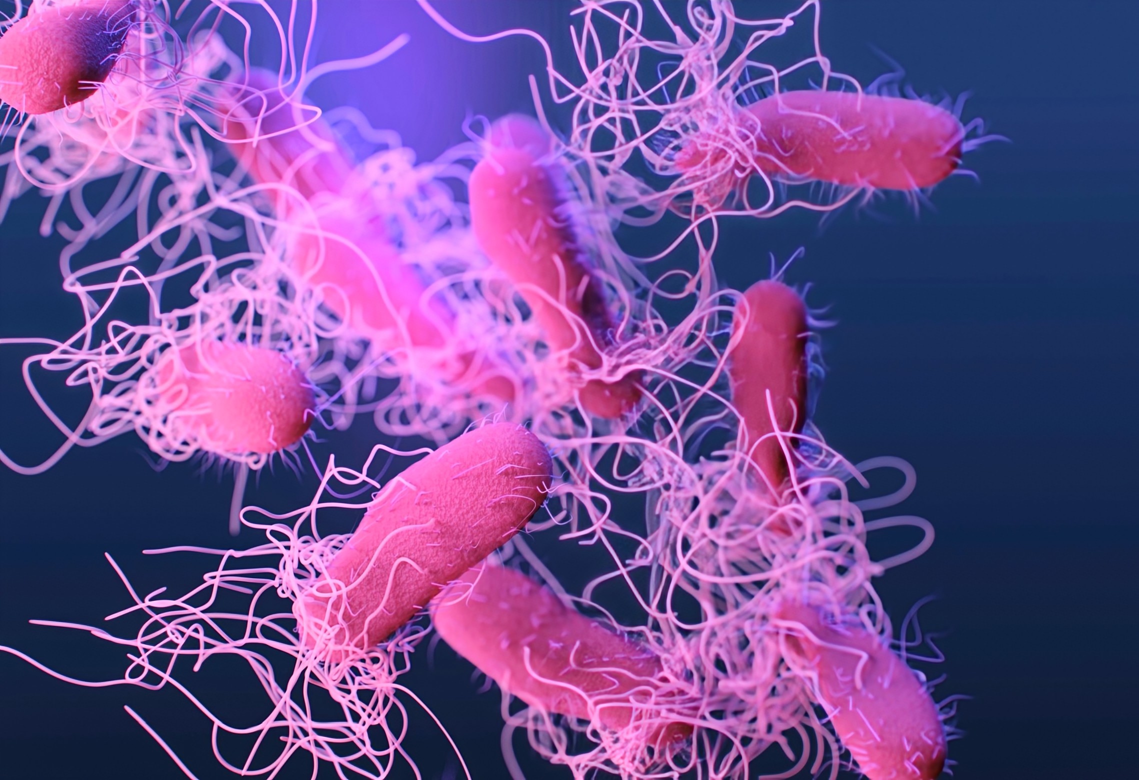 Evolution in progress: How ocean microbes shed genes to survive - Earth.com