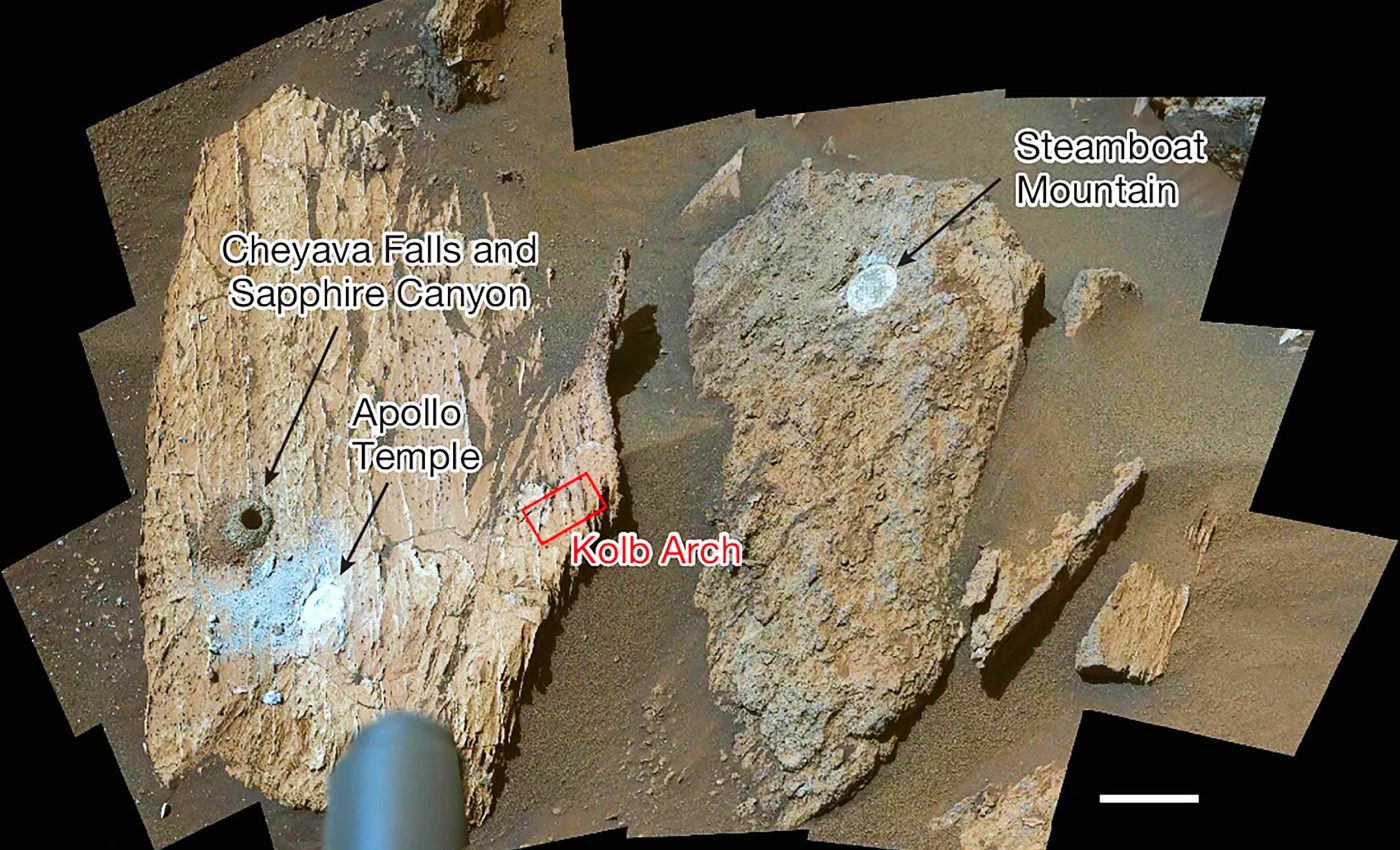 Nasa Life On Mars Paper