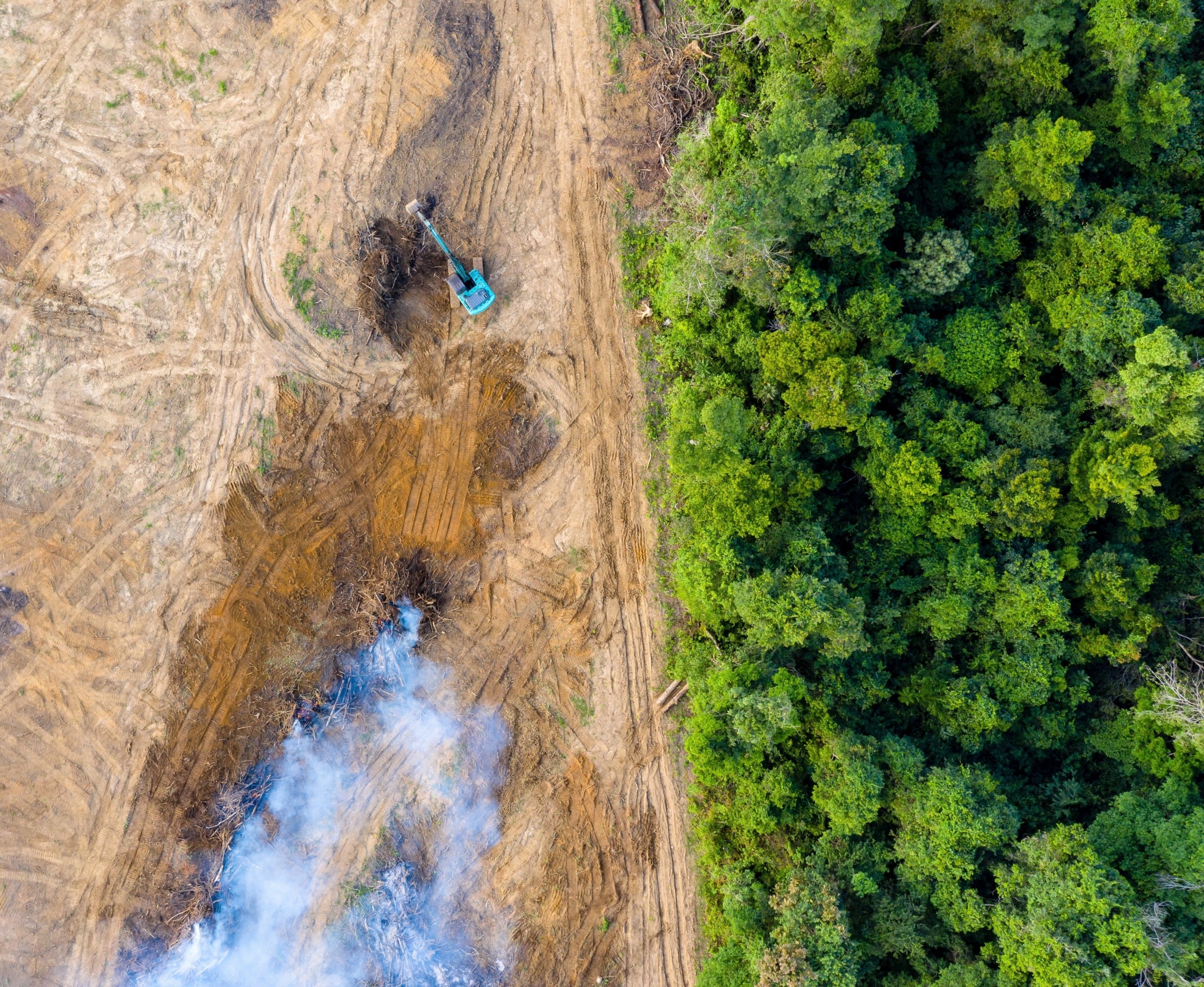 Deforestation is drying the Amazon more than climate change - Earth.com