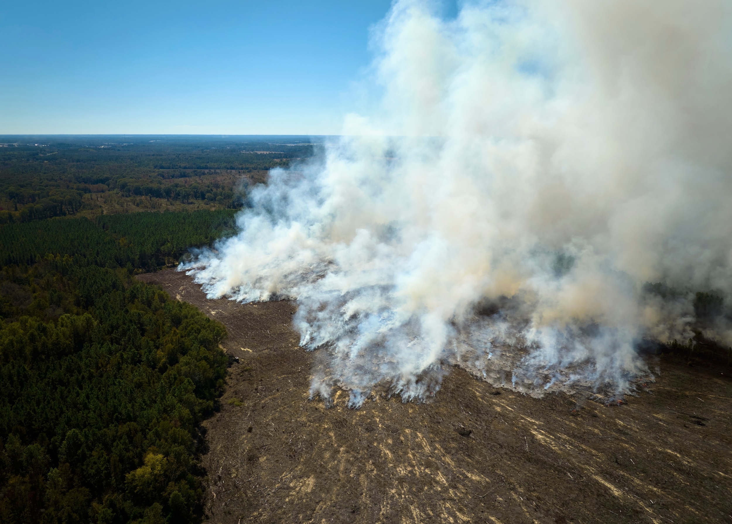 From ashes to action: Wildfire char holds a hidden climate solution ...