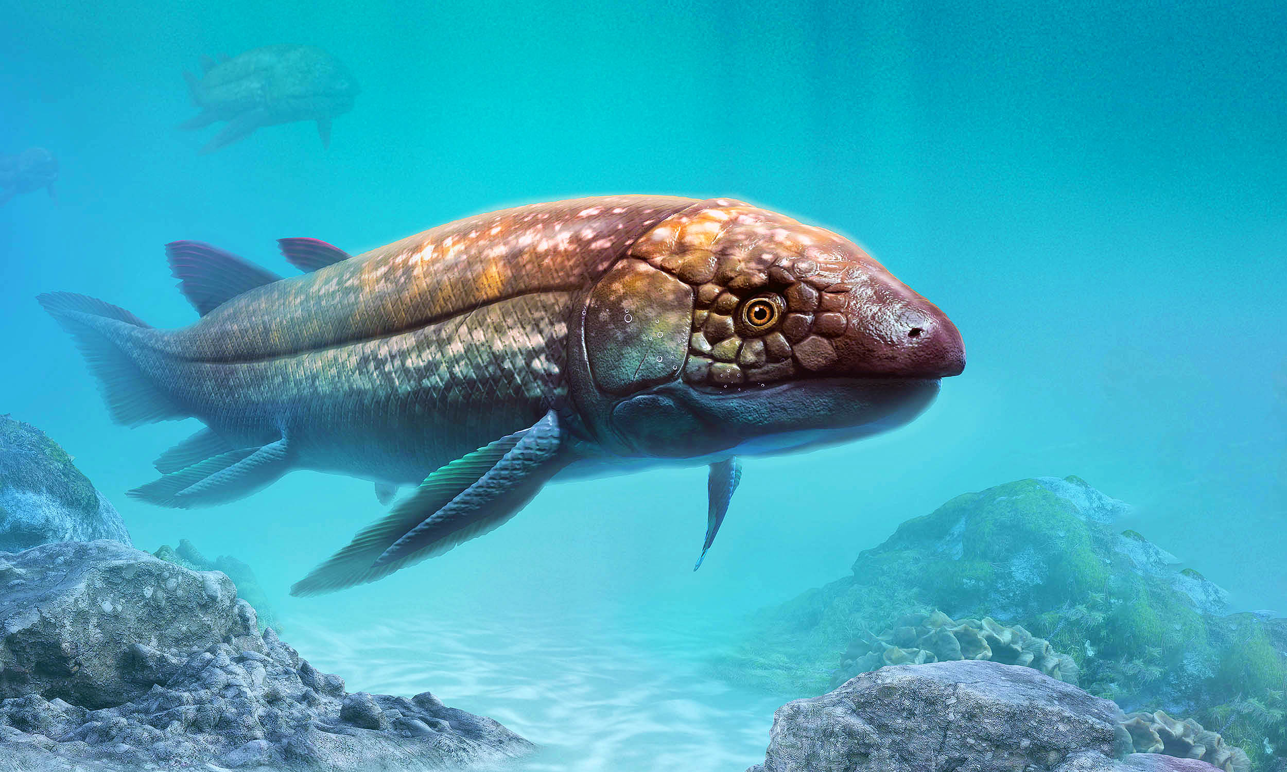 How ancient fish jaws built the path to modern land animals - Earth.com
