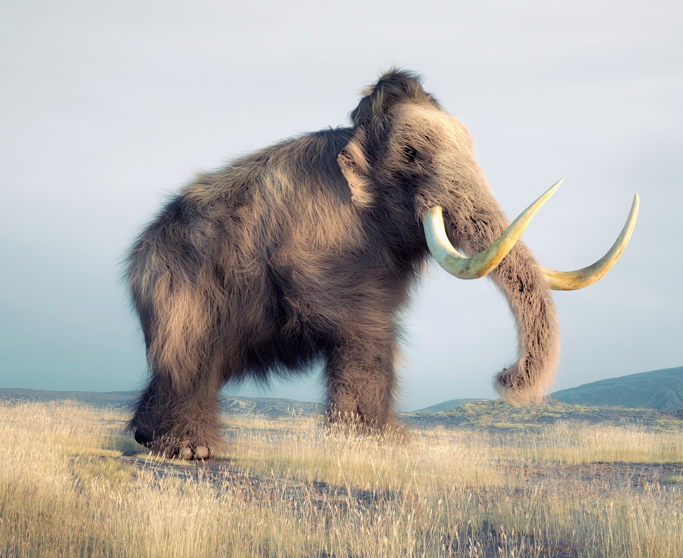 Ancient mammoth microbes reveal new clues about disease - Earth.com