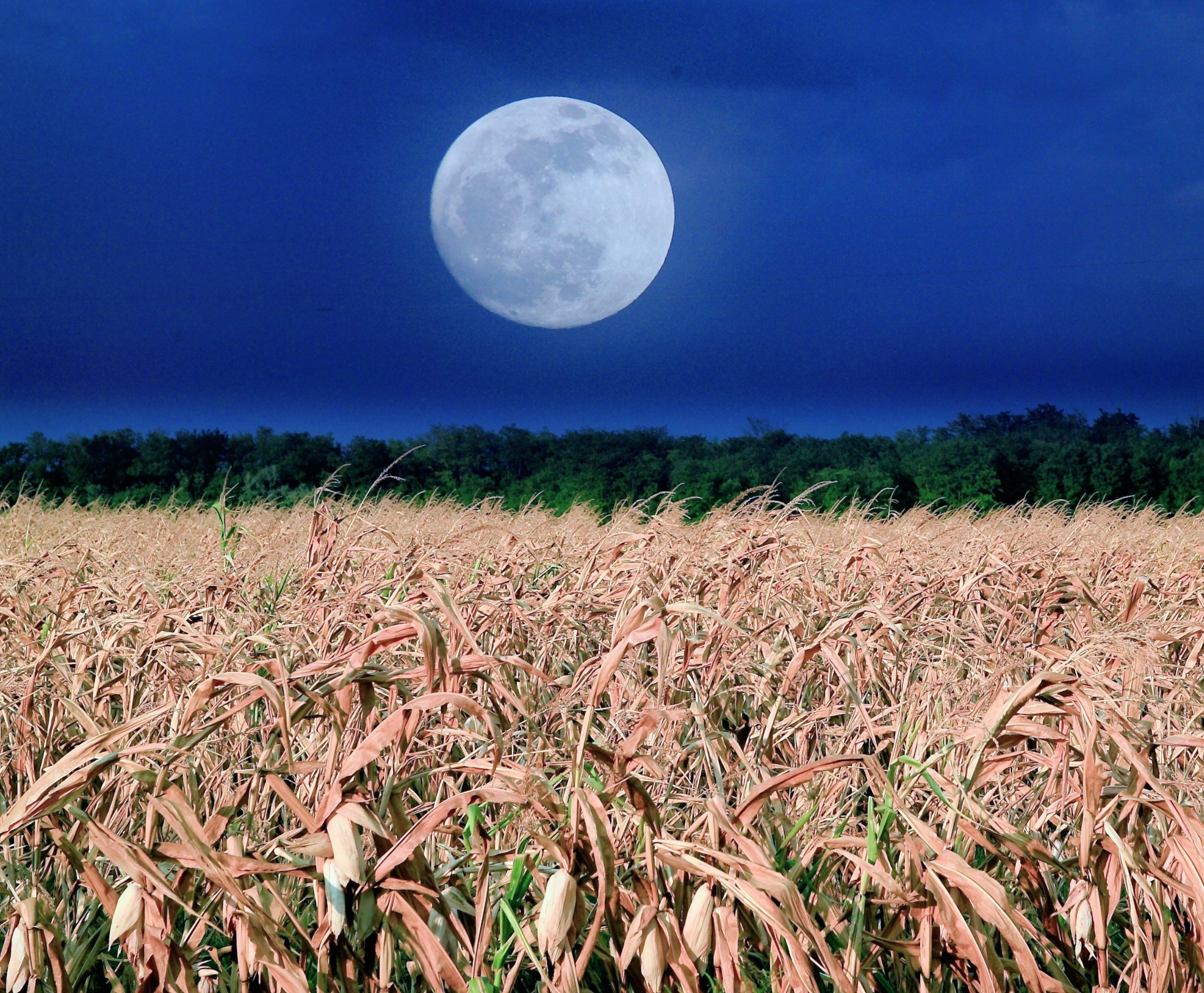 This weekend's "Corn Moon" marks farewell to summer - Earth.com