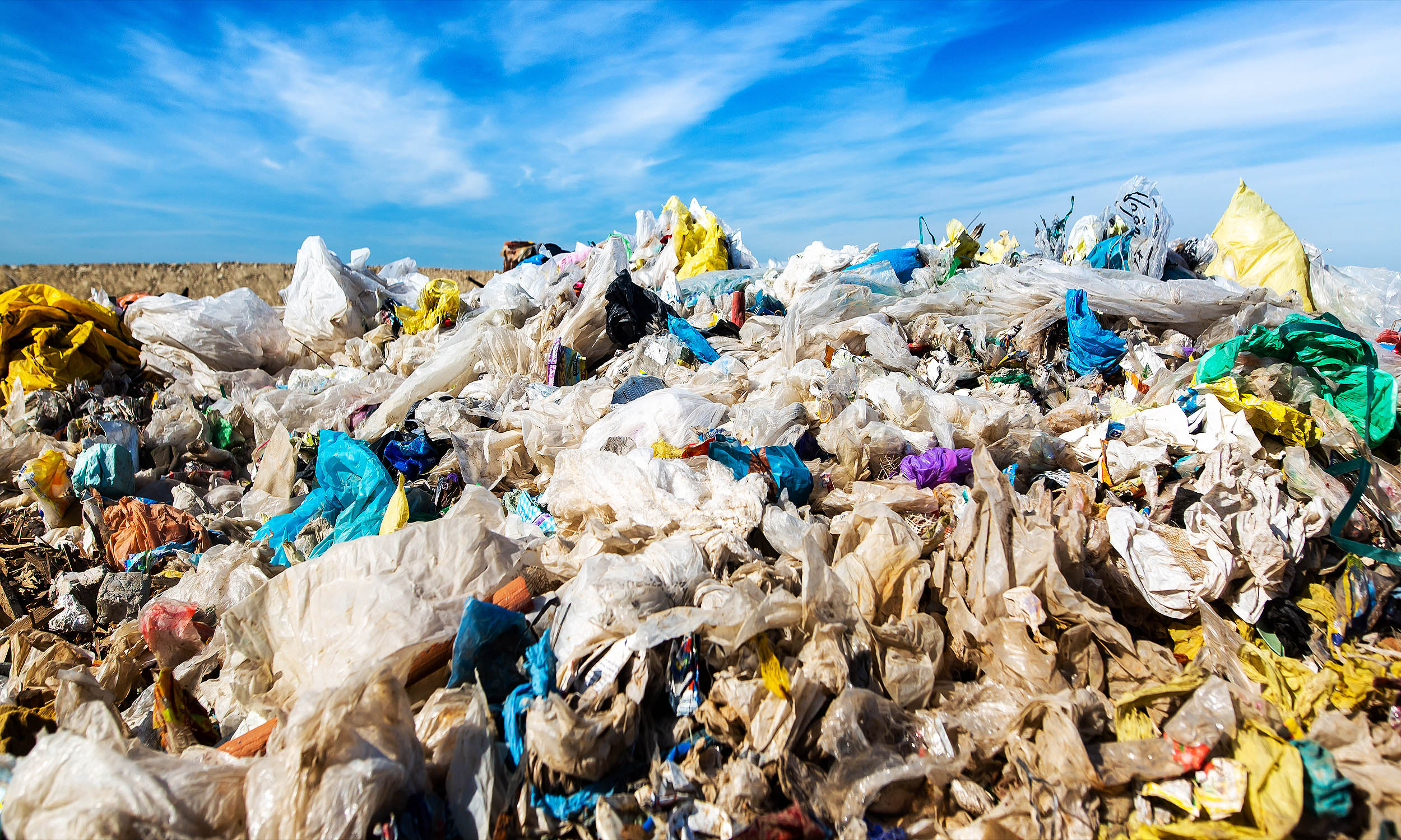 Plastics form an important archaeological record of human culture ...