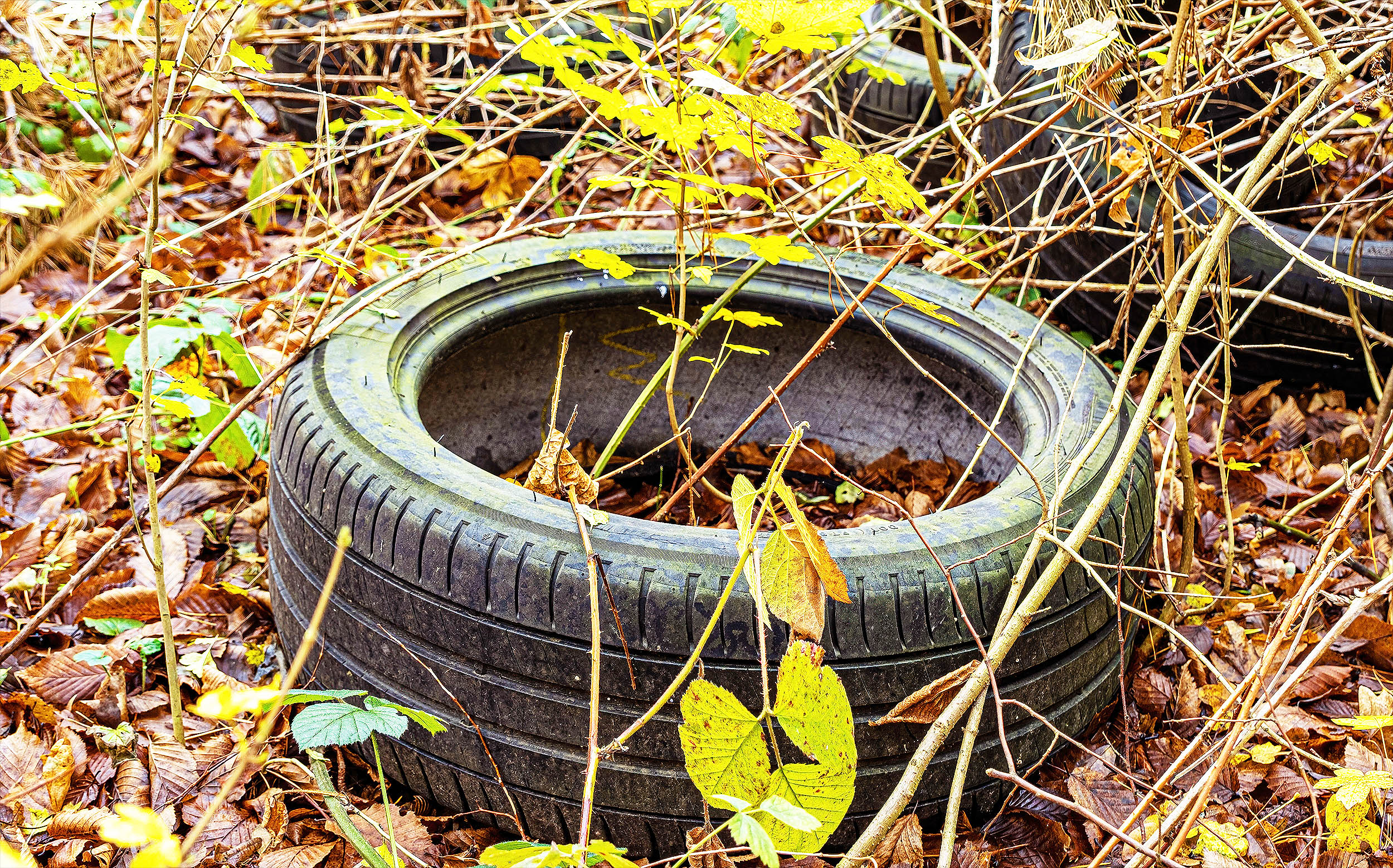 Toxic chemicals from tires are detected in human urine - Earth.com