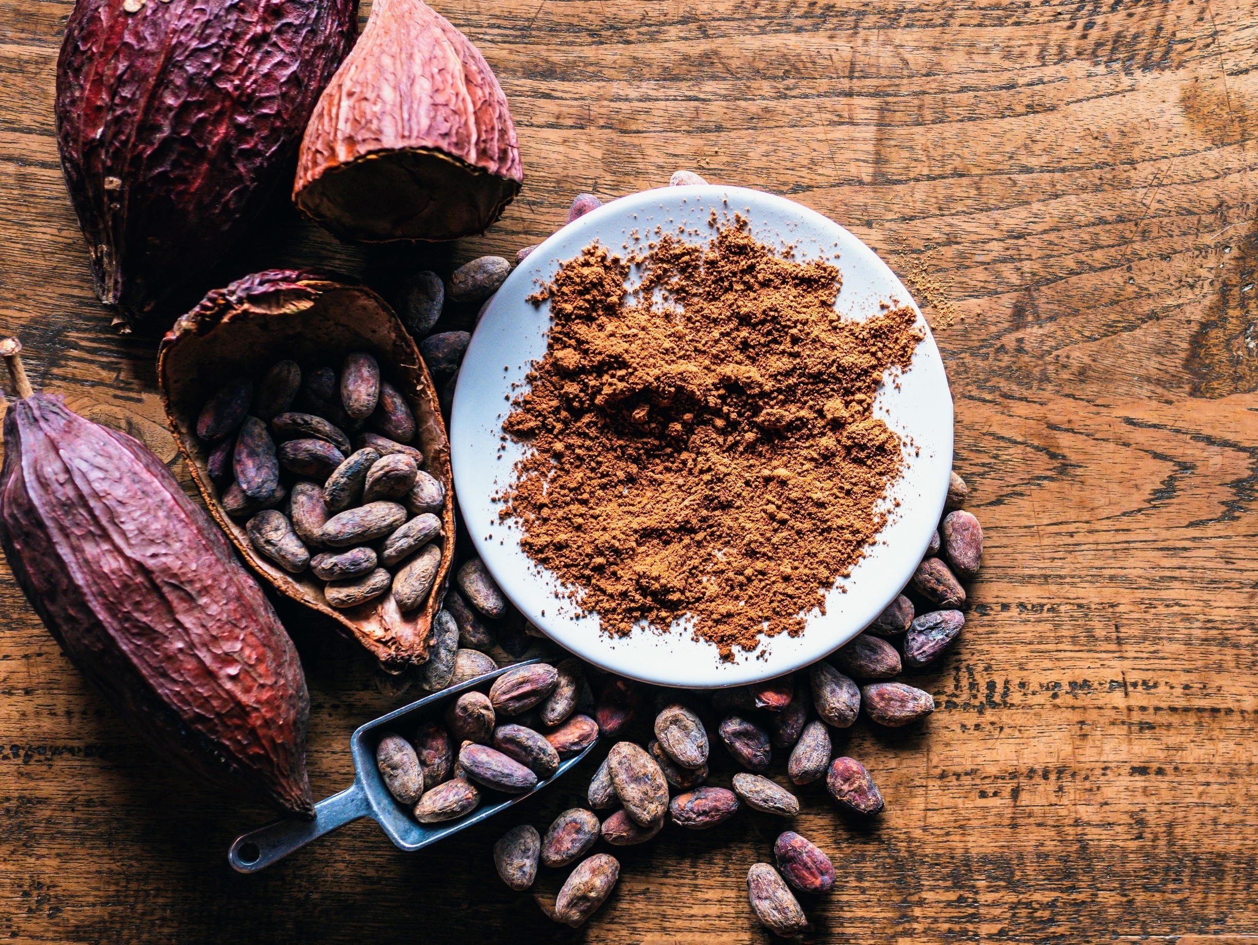 Cocoa extract supplements are shown to protect the heart - Earth.com