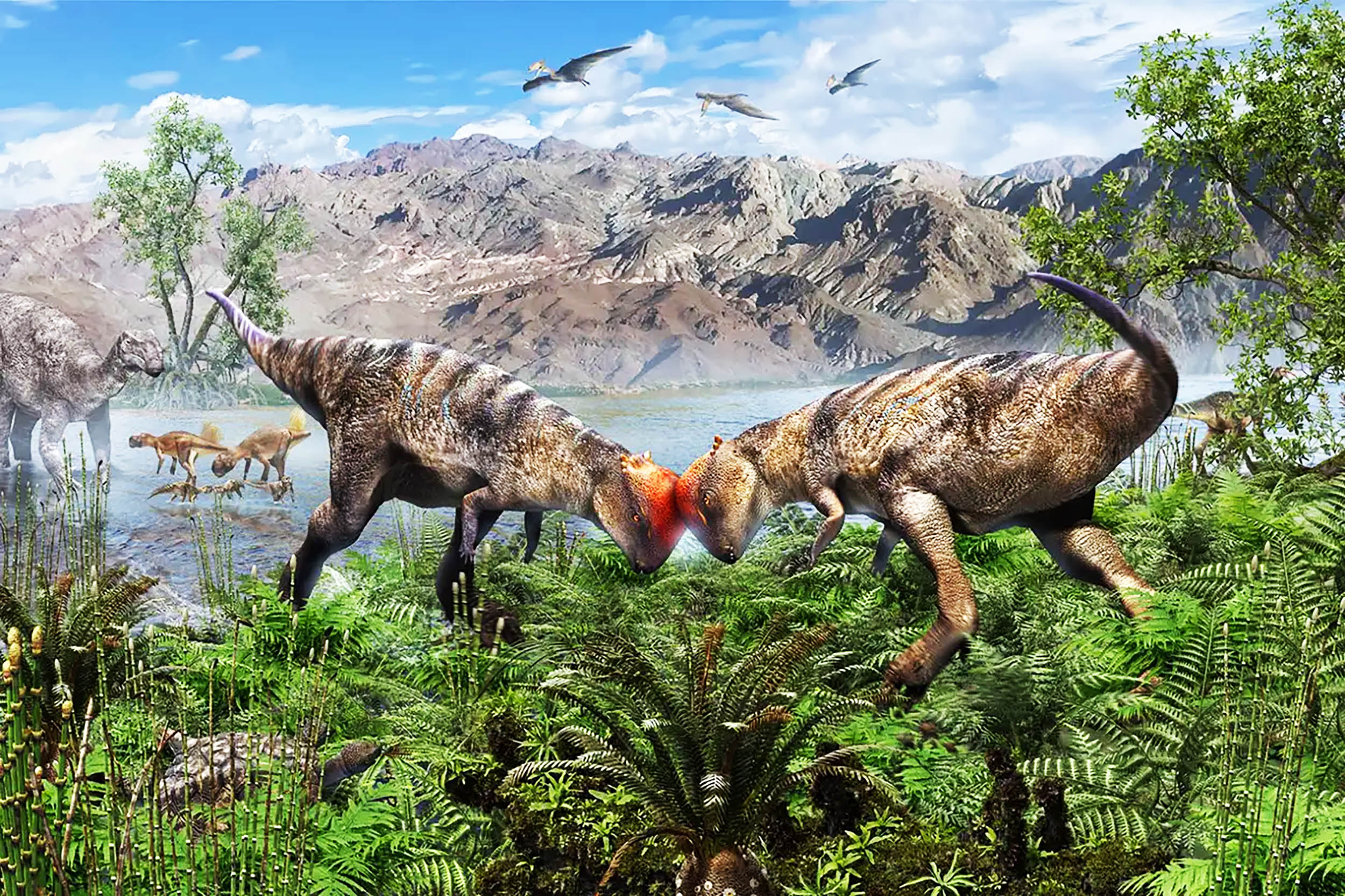 Teenage dinosaur used its fancy skull dome for mating, not fighting ...