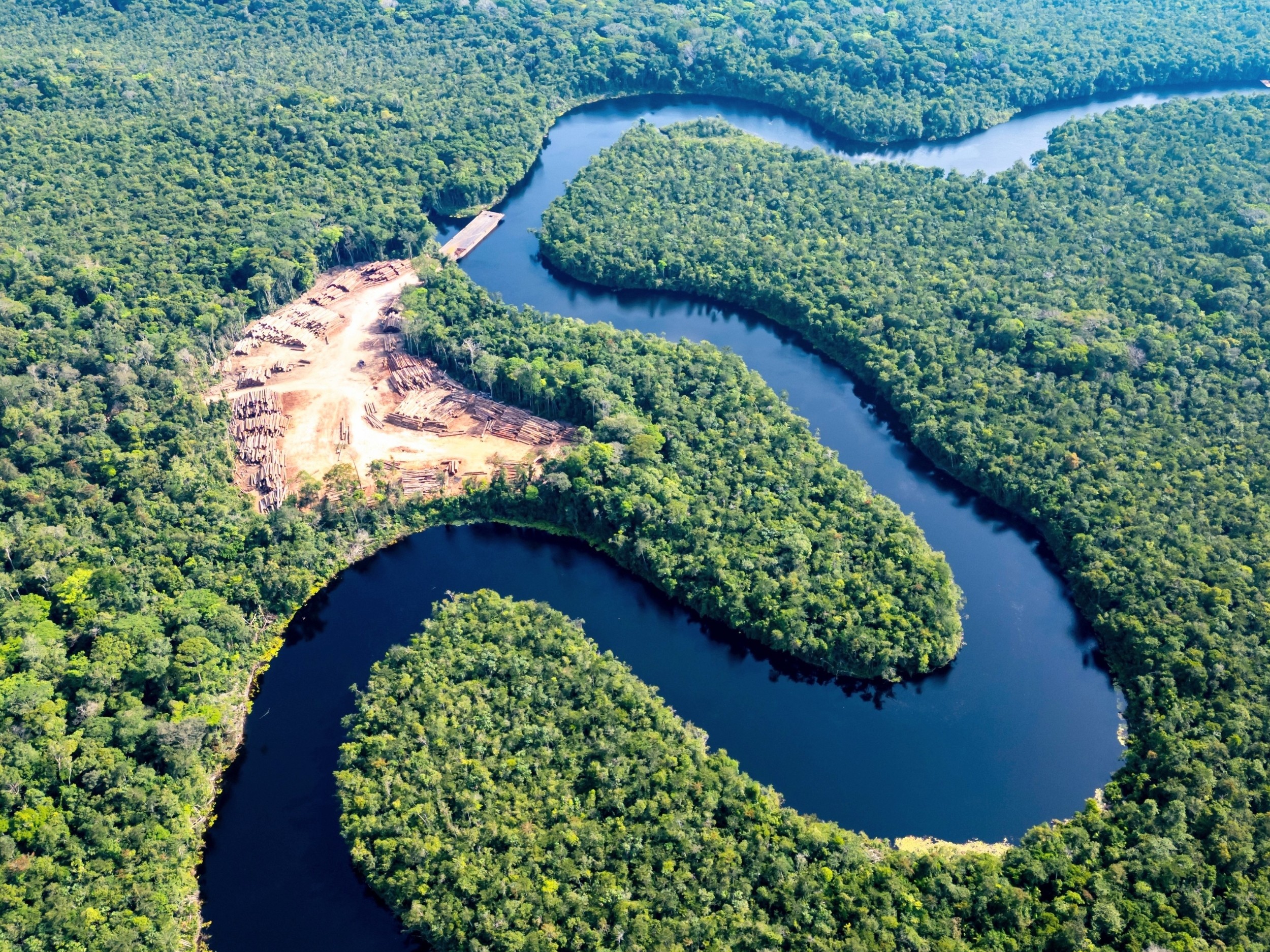 Without trees, Amazon rainforest weather will grow more extreme - Earth.com